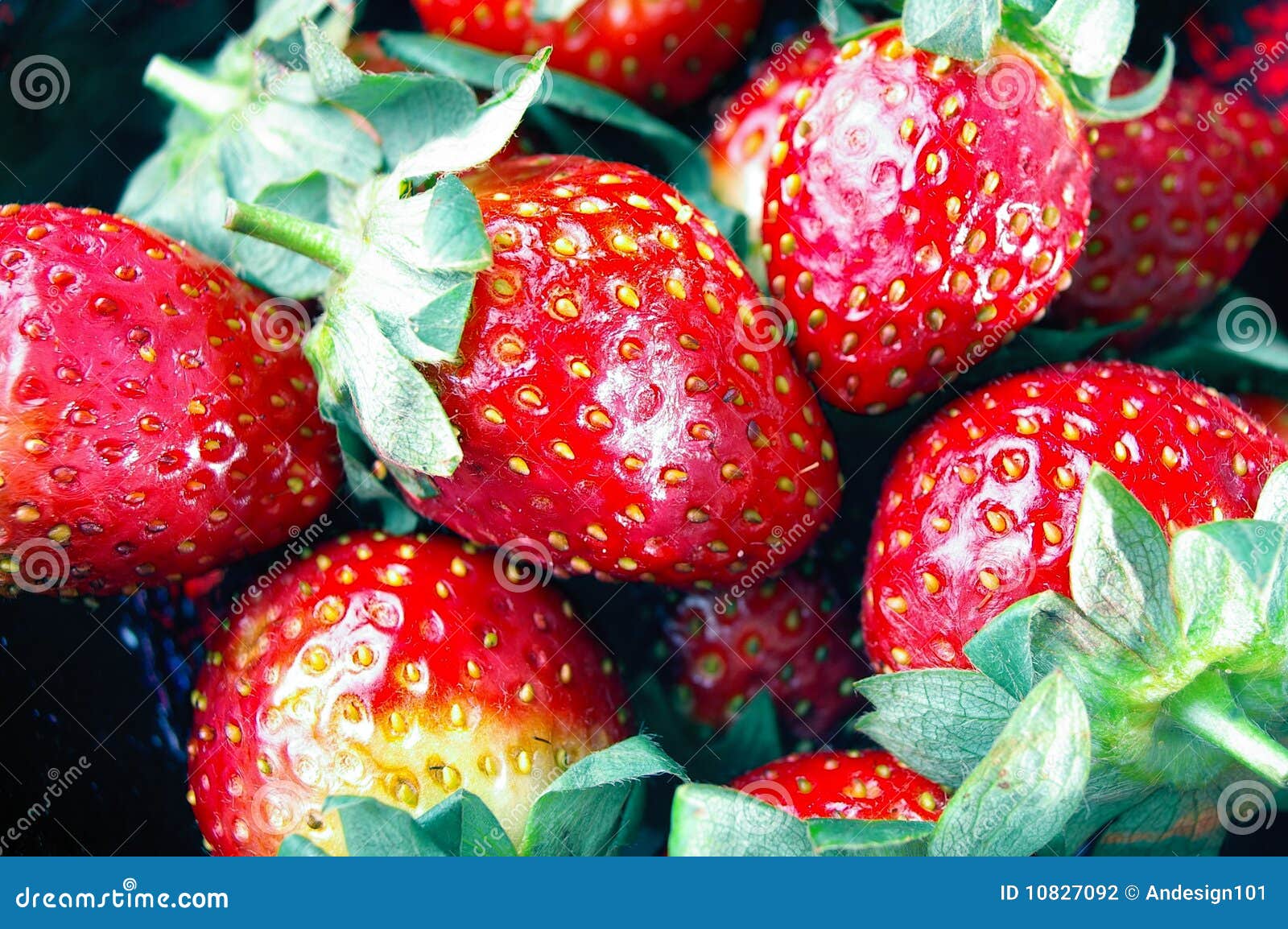 Group of red strawberries stock photo. Image of market - 10827092