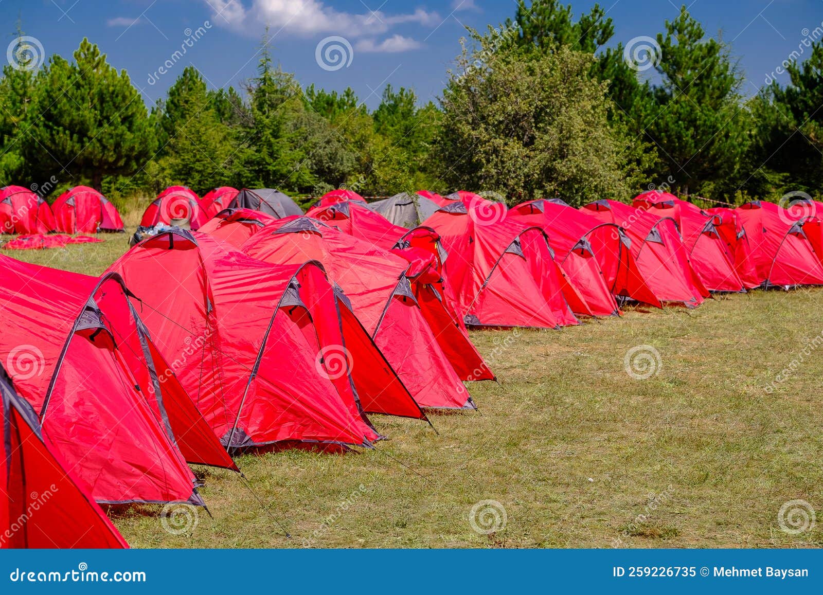 Group of Red Tents for Campers at Forest Stock Image - Image of travel ...