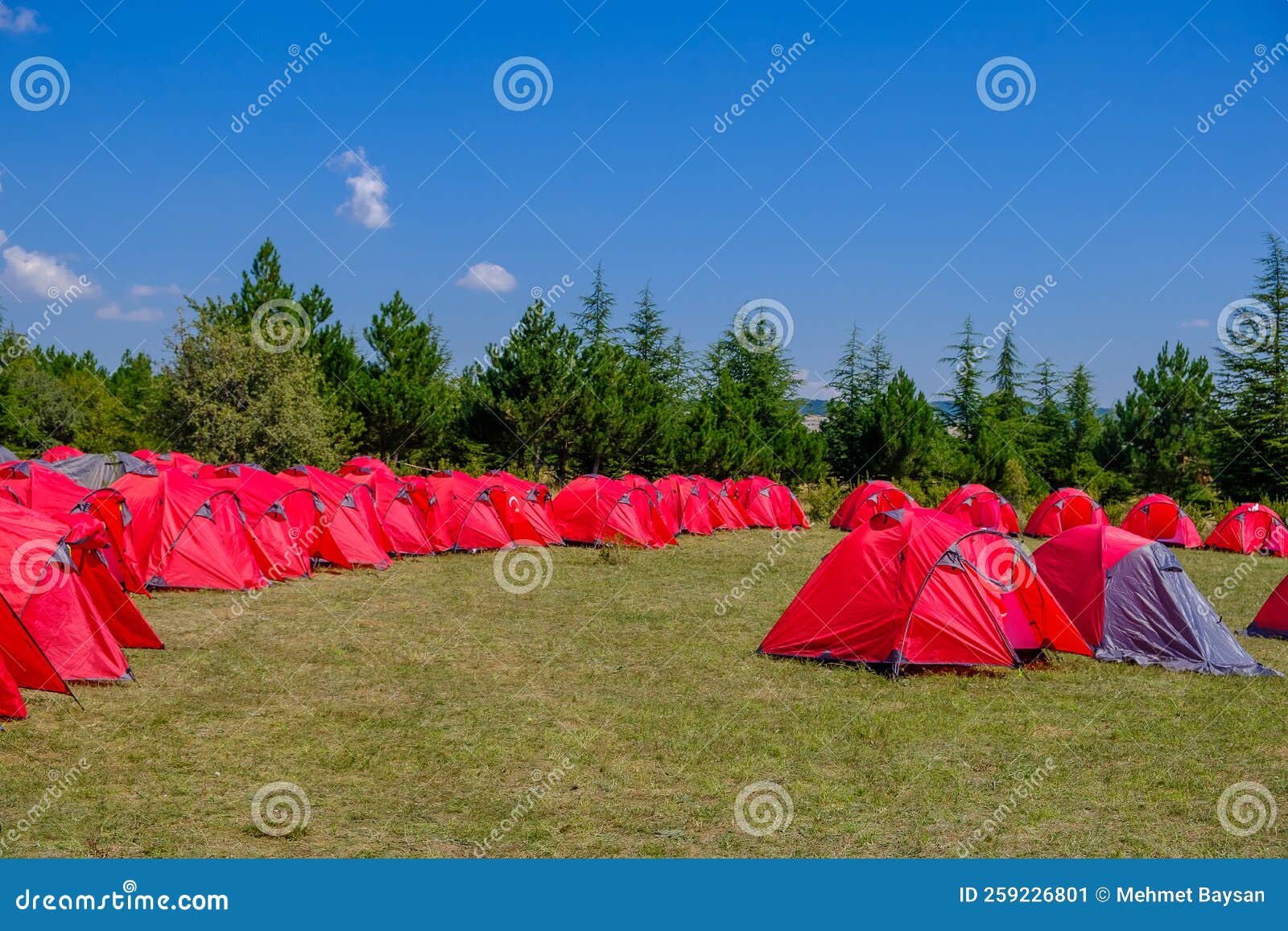Group of Red Tents for Campers at Forest Stock Image - Image of holiday ...