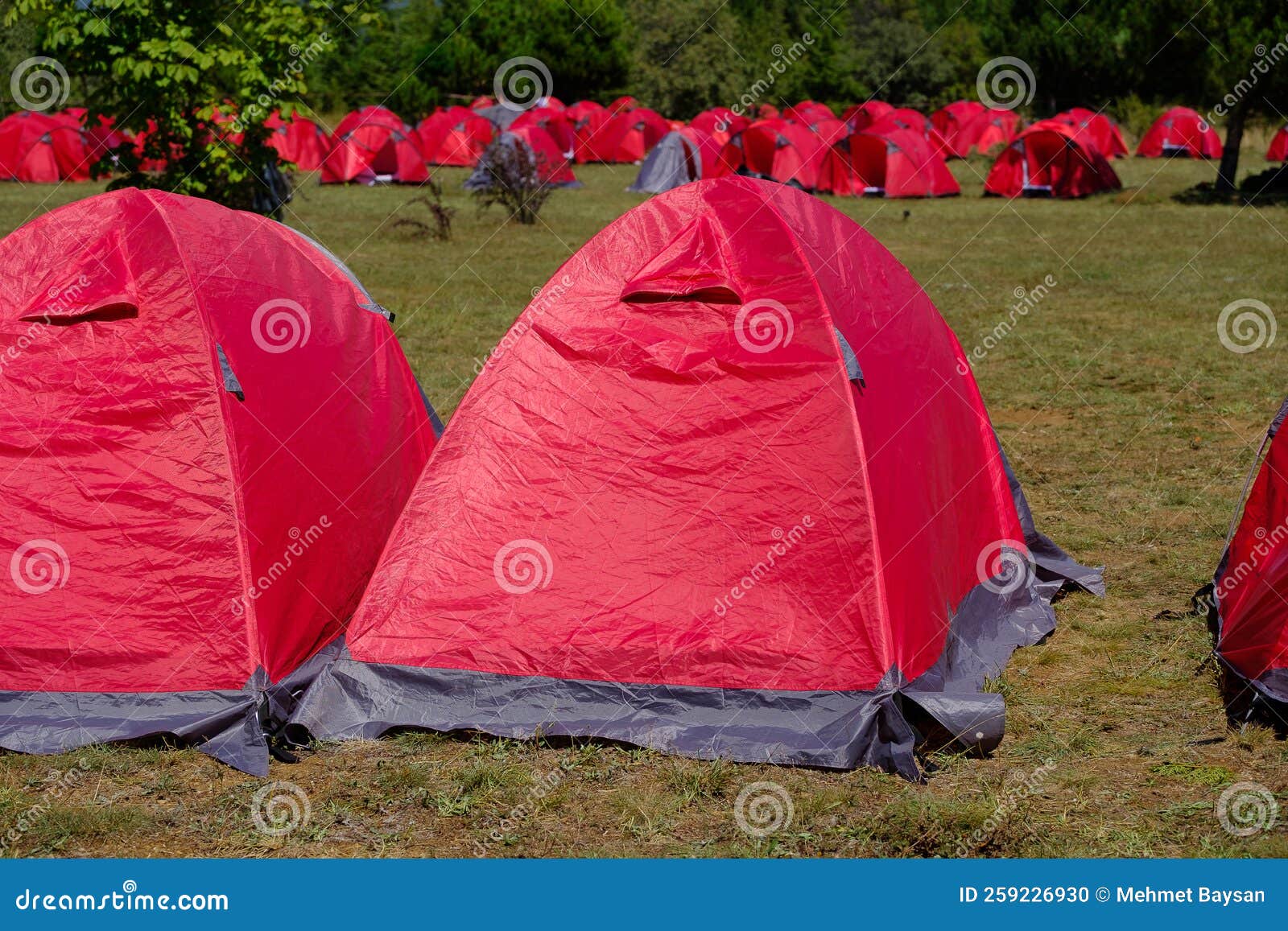 Group of Red Tents for Campers at Forest Stock Photo - Image of season ...