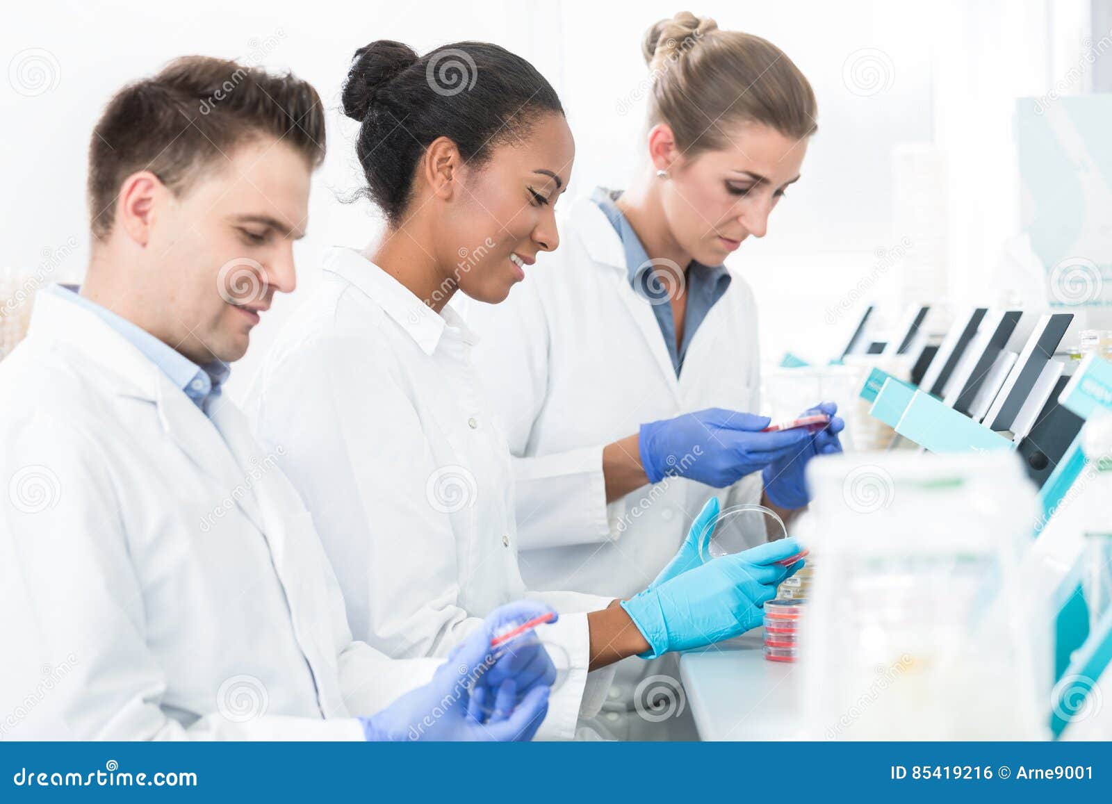 Group of Researchers Using Scientific Technology for Test of Ger Stock ...
