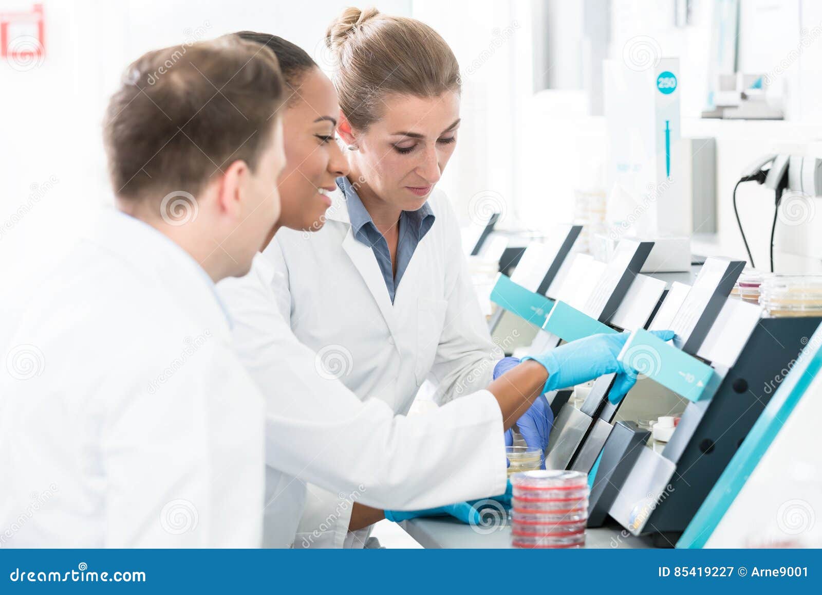 Group of Researchers Using Scientific Technology for Test of Ger Stock ...