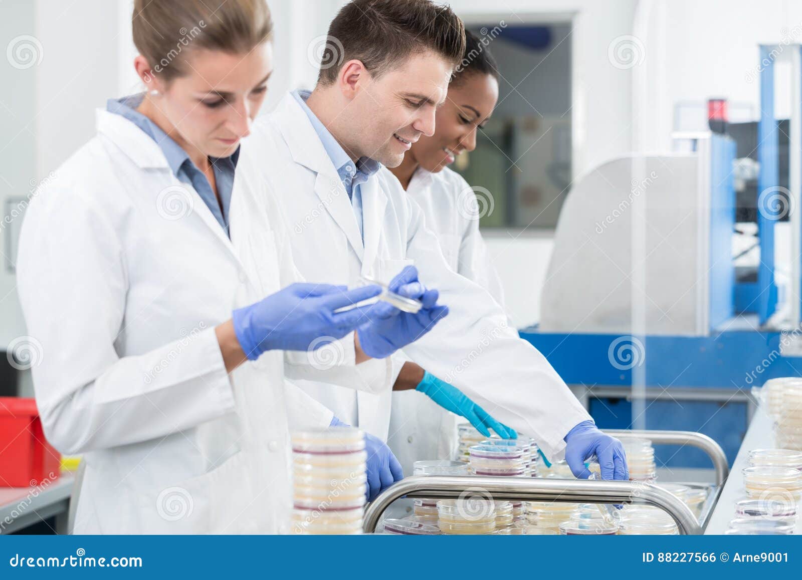 Group of Researchers Using Scientific Technology for Test of Ger Stock ...