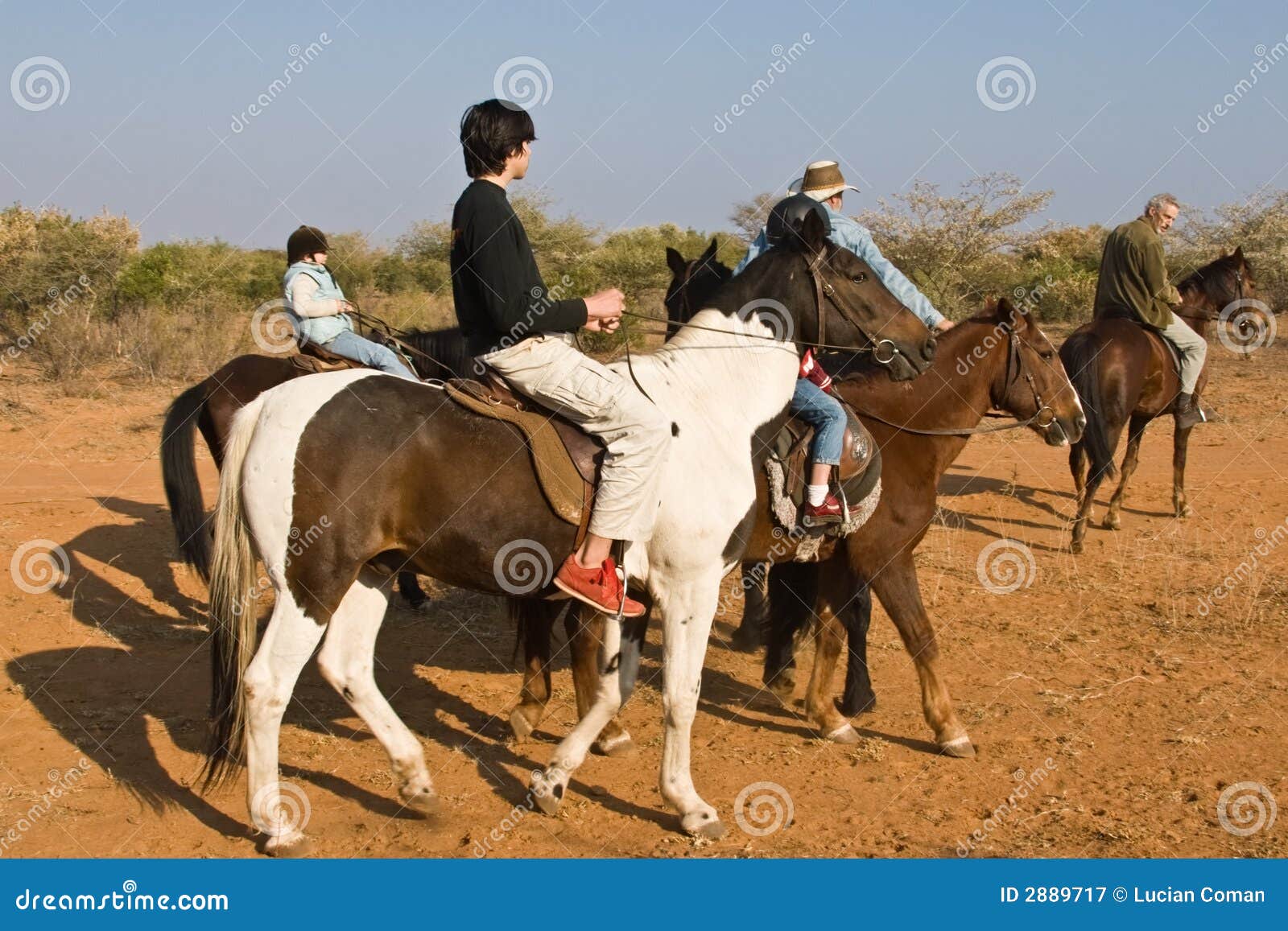 Group riding stock image. Image of animal, equestrian - 2889717