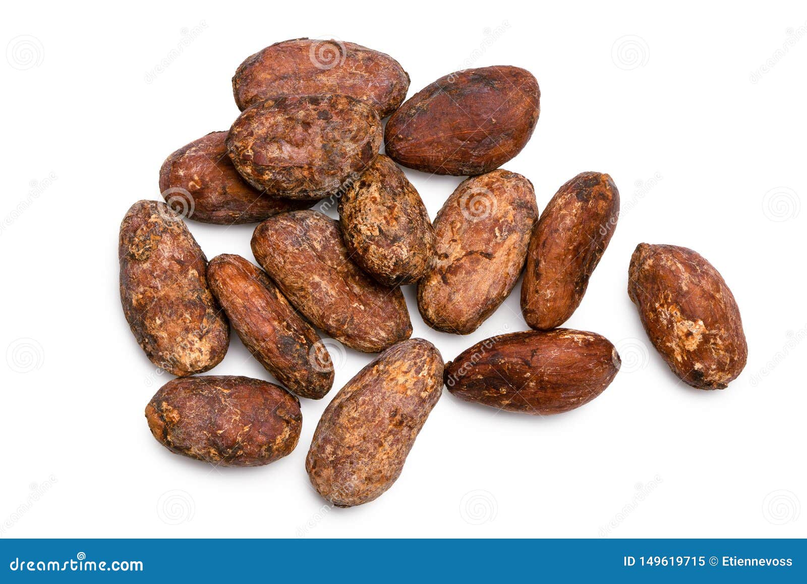 Group of Roasted Unpeeled Cocoa Beans Isolated on White from Above ...