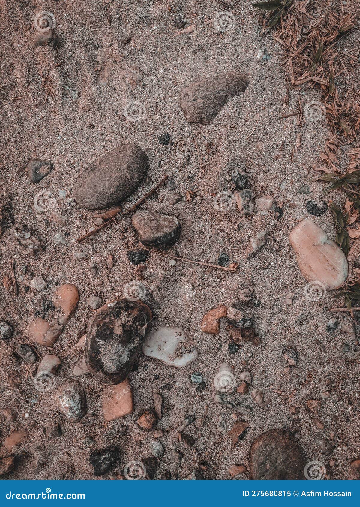 A group of rocks on sand stock image. Image of rocks - 275680815