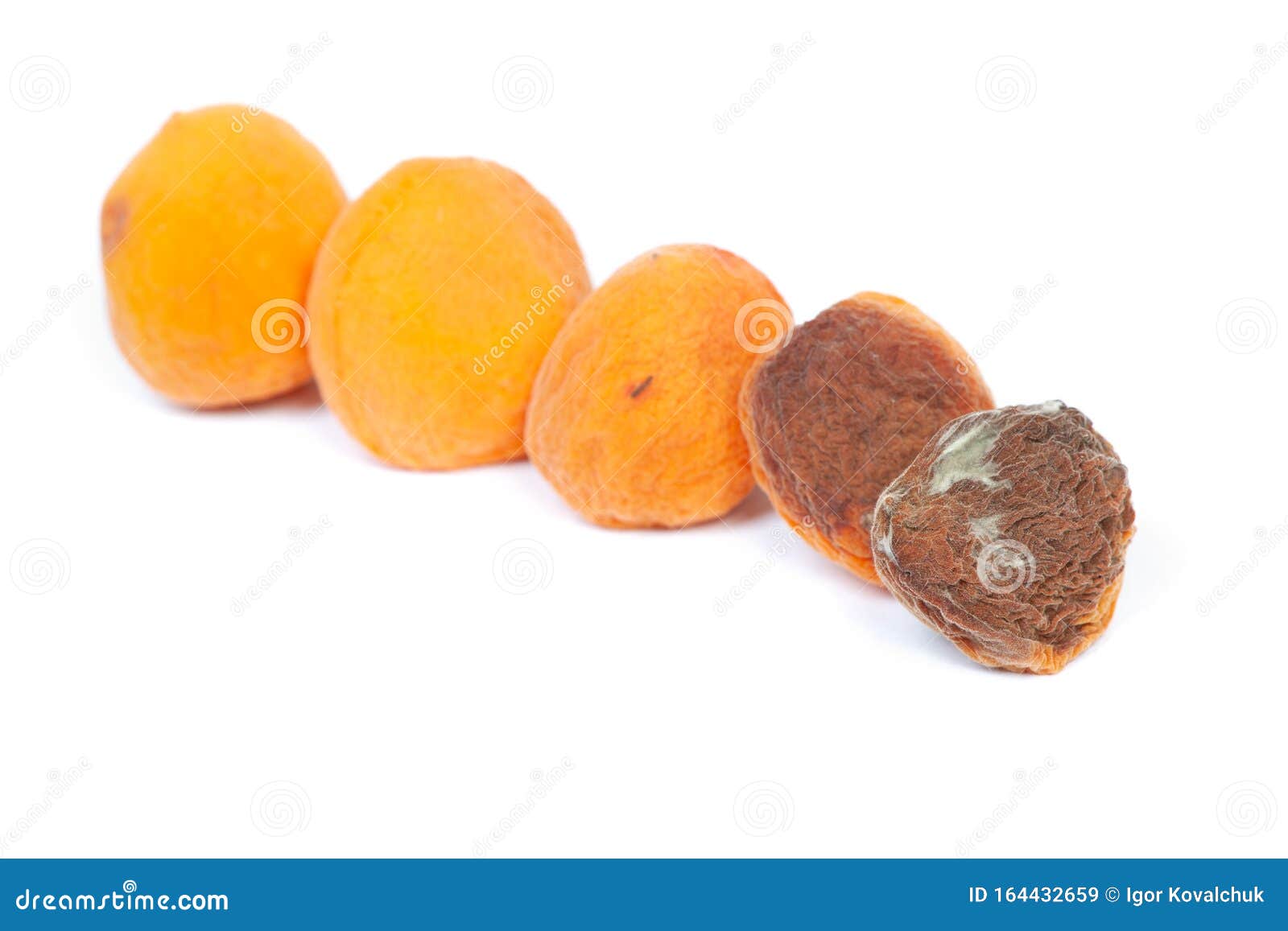 Group of rotten apricots stock image. Image of closeup - 164432659