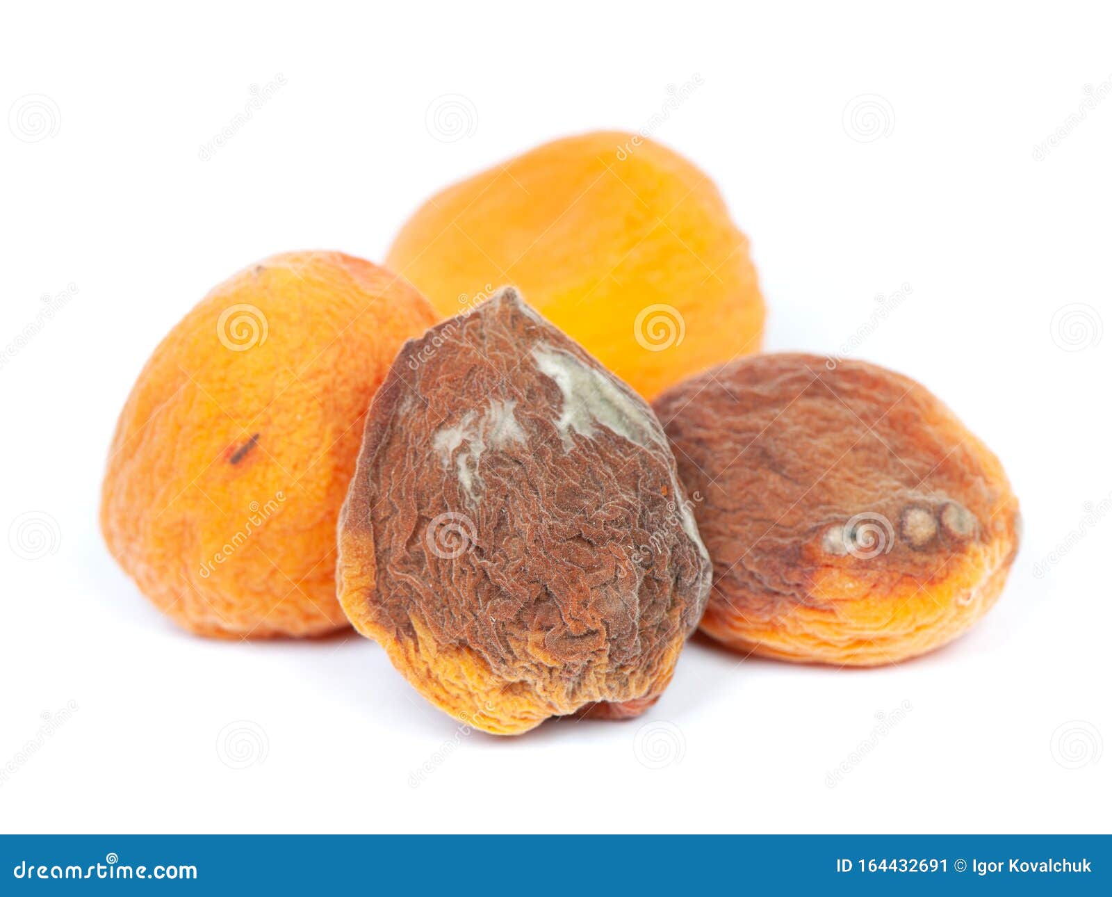 Group of rotten apricots stock image. Image of natural - 164432691
