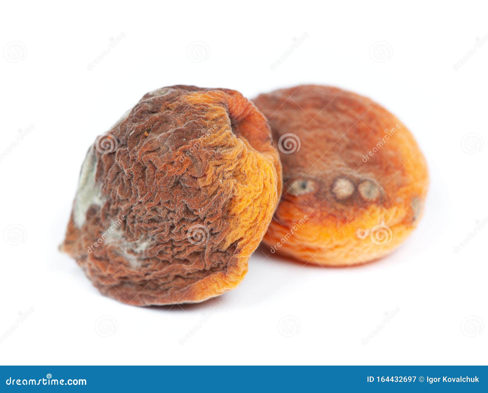 Group of rotten apricots stock image. Image of macro - 164432697