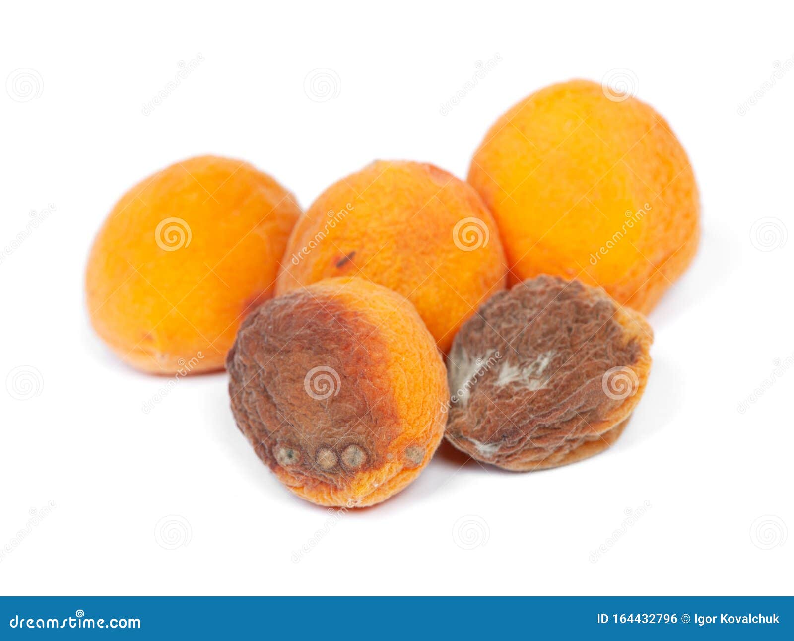 Group of rotten apricots stock photo. Image of microbe - 164432796