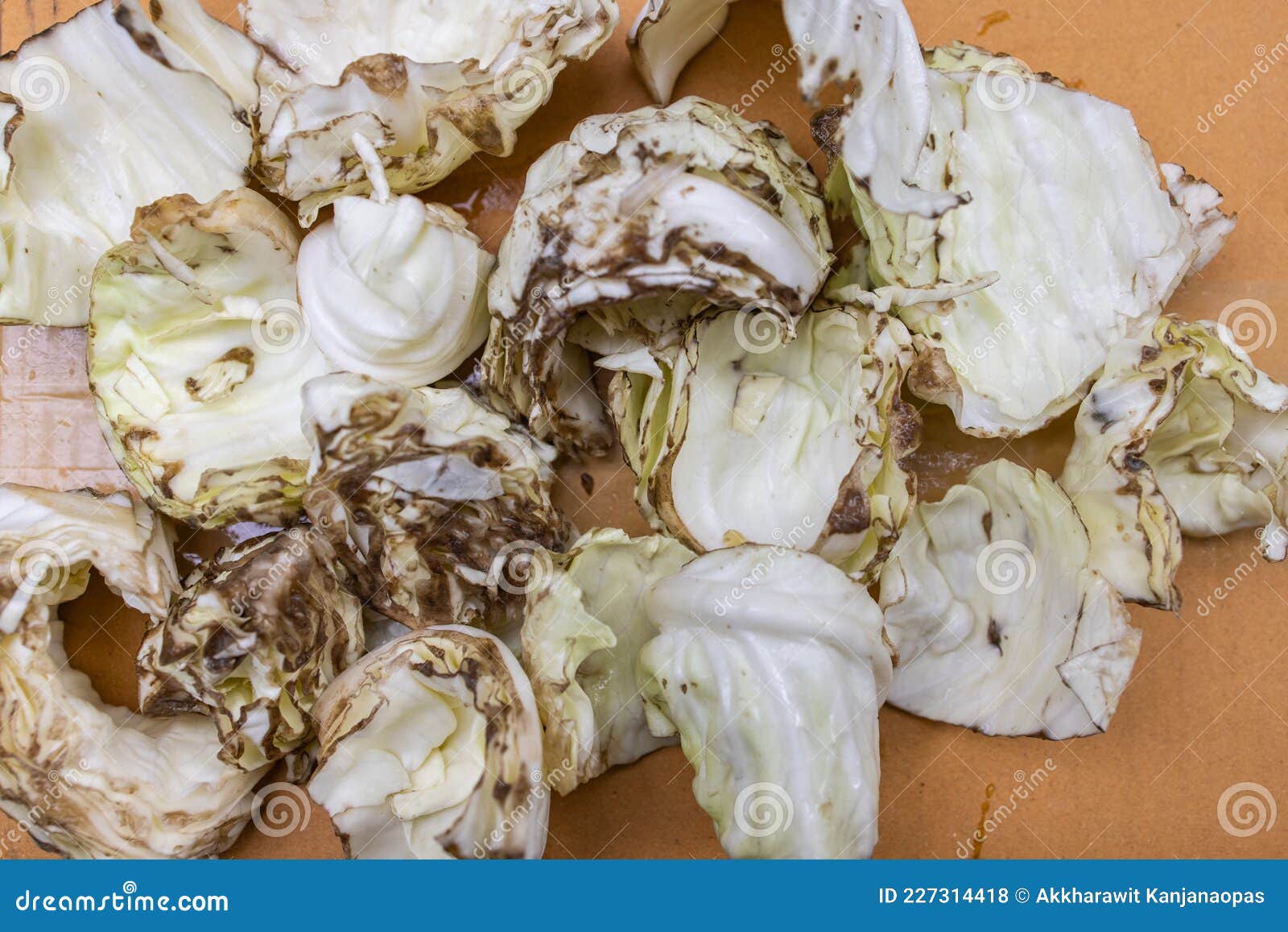 A group of rotten cabbage stock photo. Image of rotting - 227314418