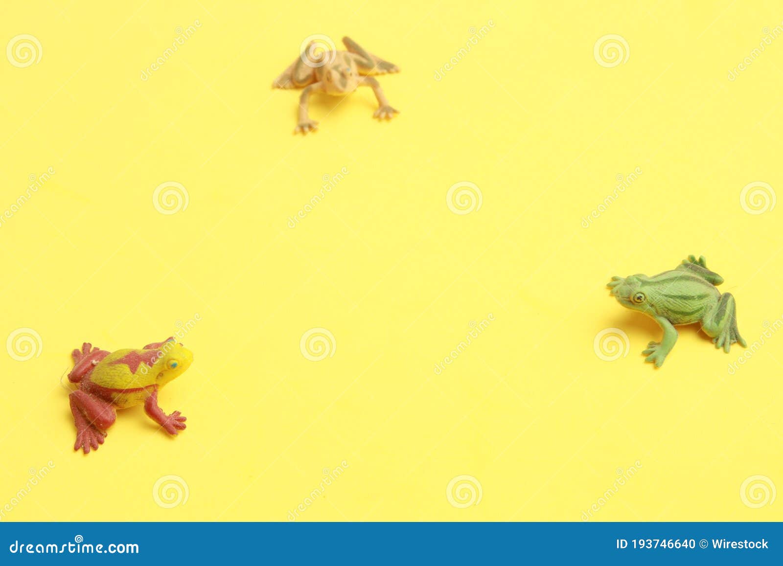 Group of Rubber Toy Frogs on a Yellow Background Stock Photo - Image of ...