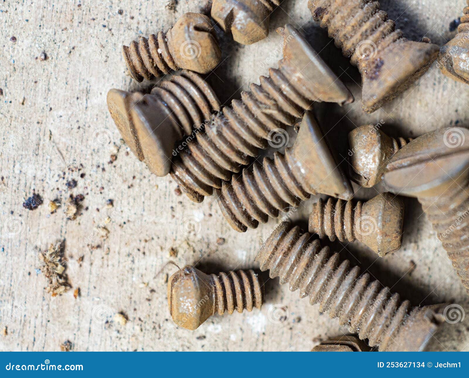 Group of Rusty Screws in a Box Due To the Passage of Time. Stock Photo ...