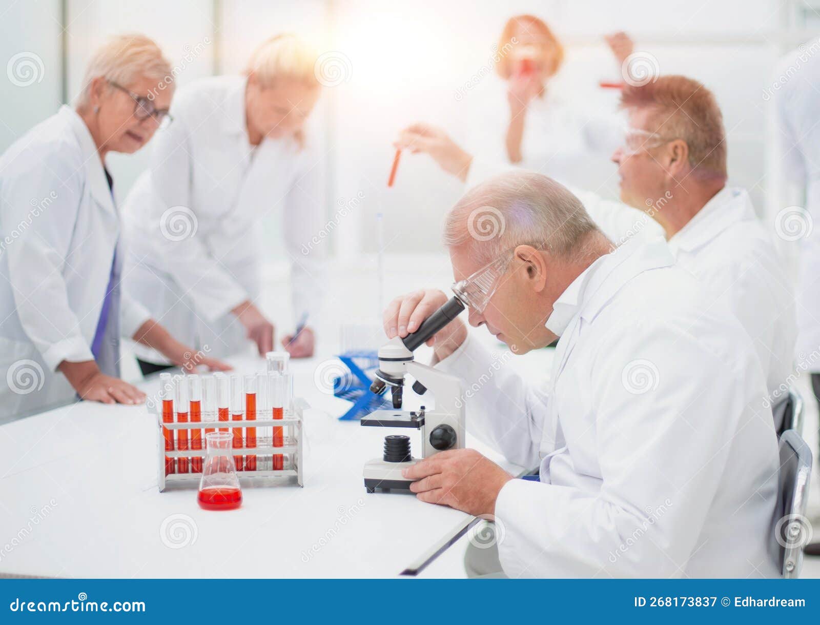Group of Scientists Conduct Testing in the Laboratory . Stock Image ...