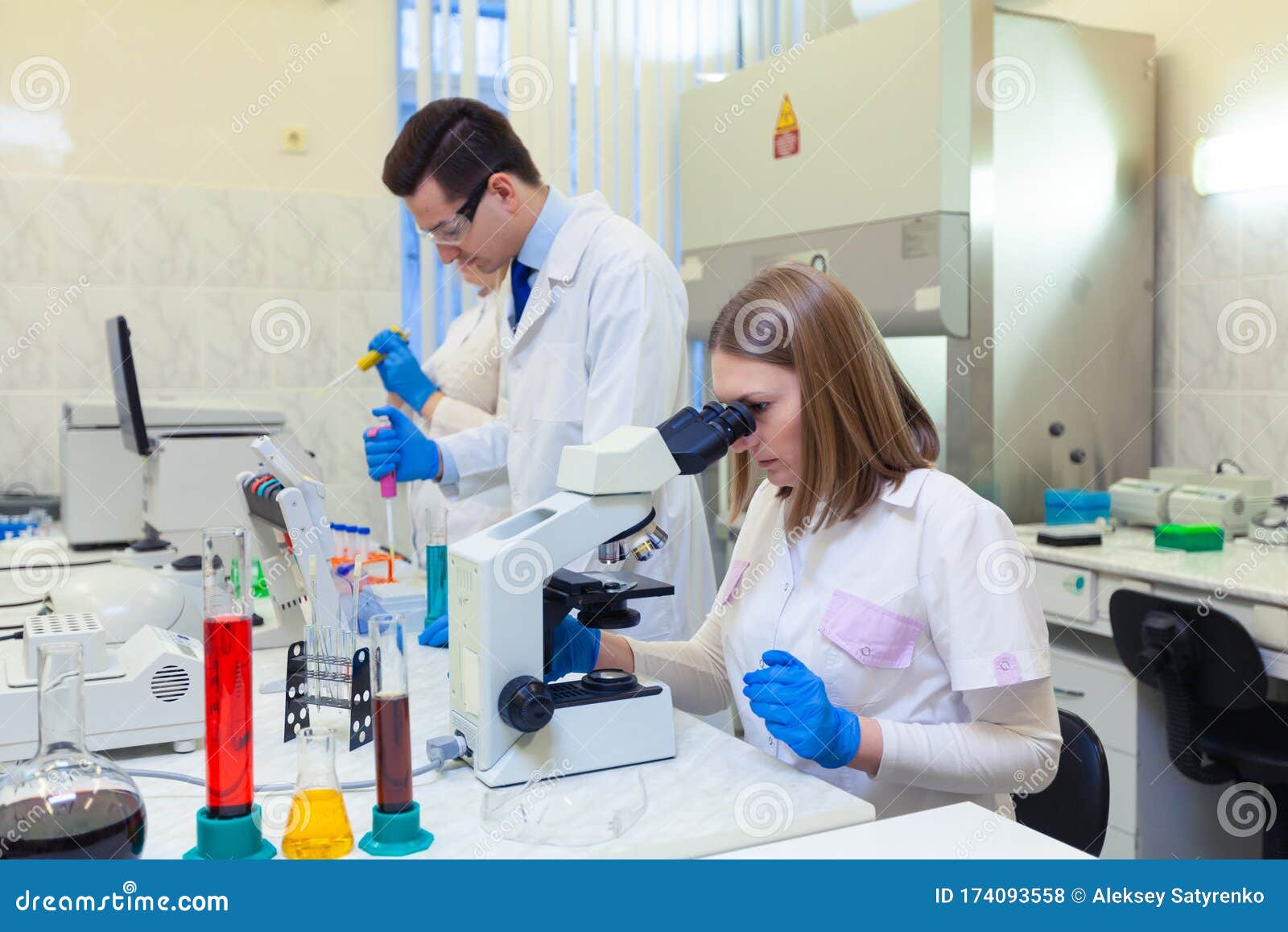 A Group of Scientists Conducts Research in a Scientific Laboratory ...