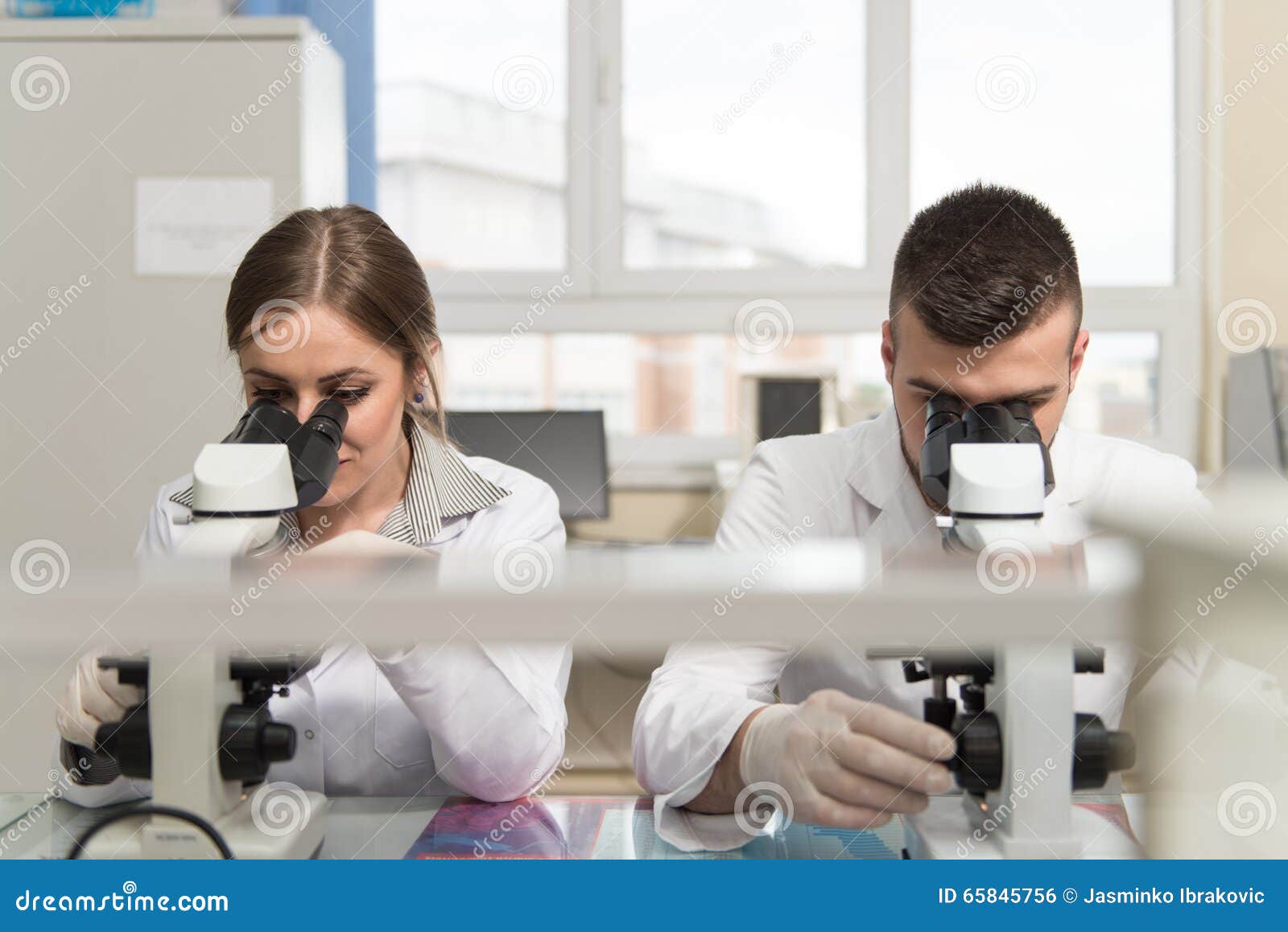 Group of Scientists Looking into a Microscope Stock Photo - Image of ...