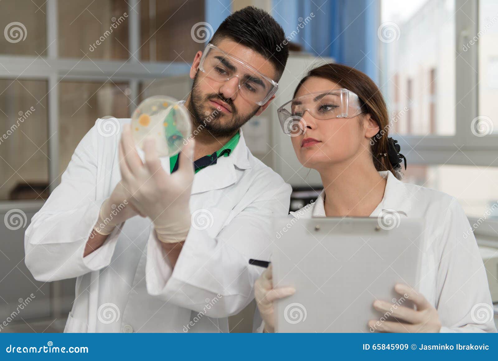 Group of Scientists Working at the Laboratory Stock Image - Image of ...