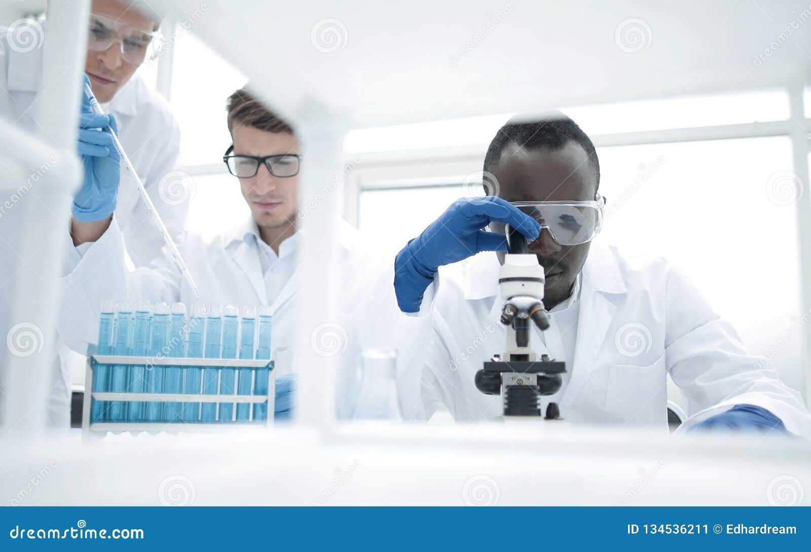 Group of Scientists Working with Liquids in the Laboratory Stock Image ... Group of Scientists Working with Liquids in the Laboratory Stock Image ...