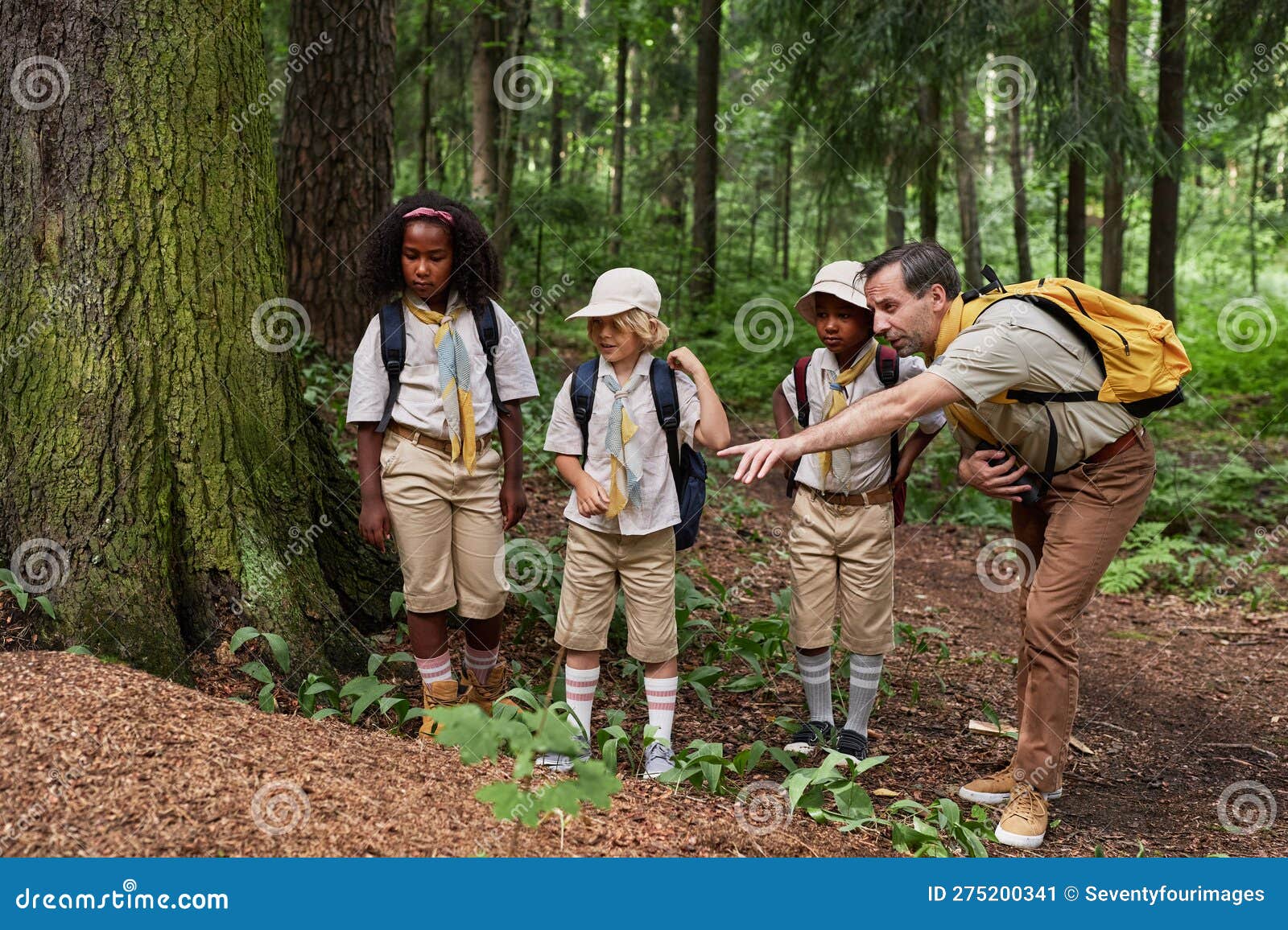 Group of Scouts Exploring Nature during Field Trip Stock Image - Image ...