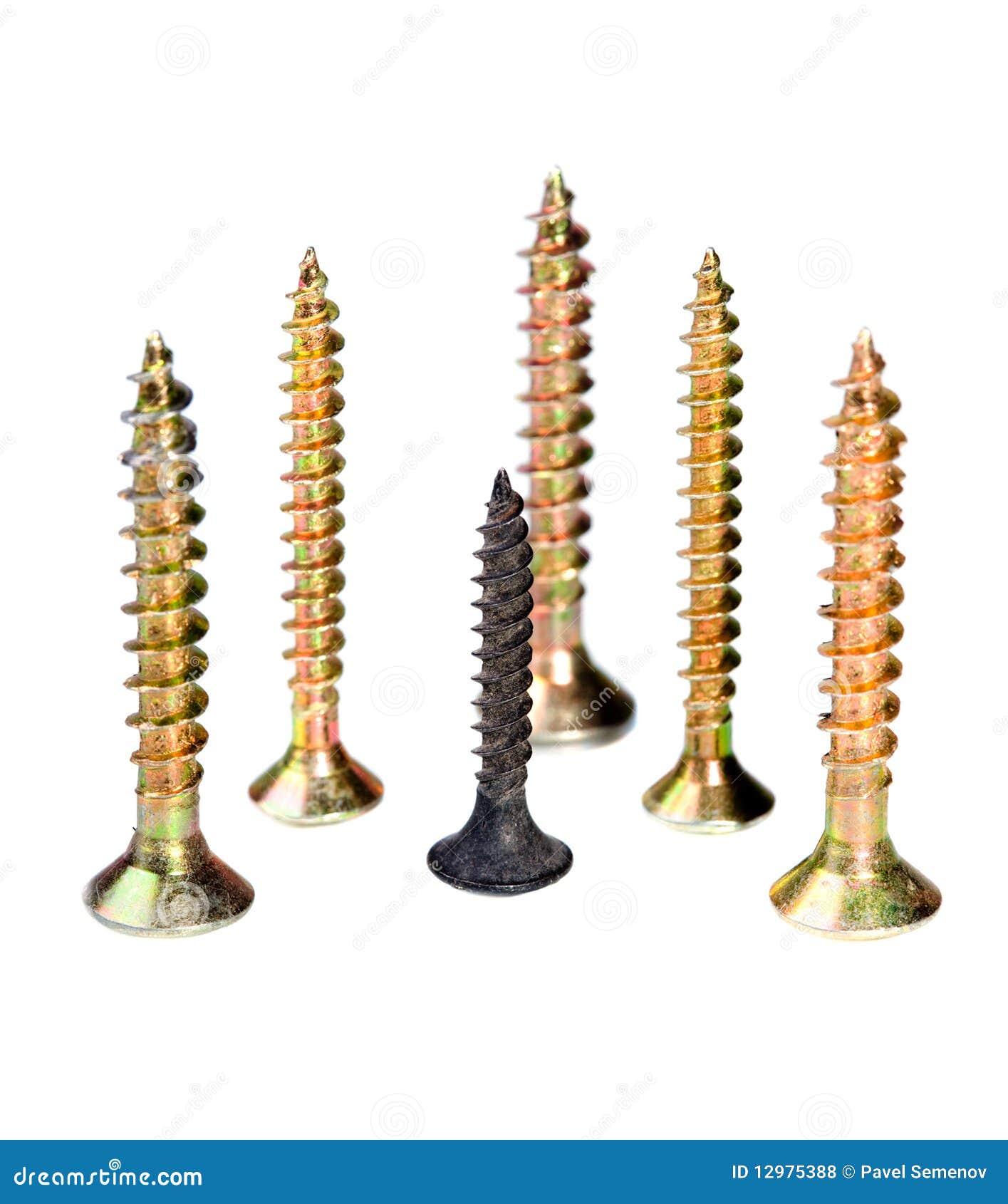 Group of screws stock photo. Image of shiny, fastening - 12975388
