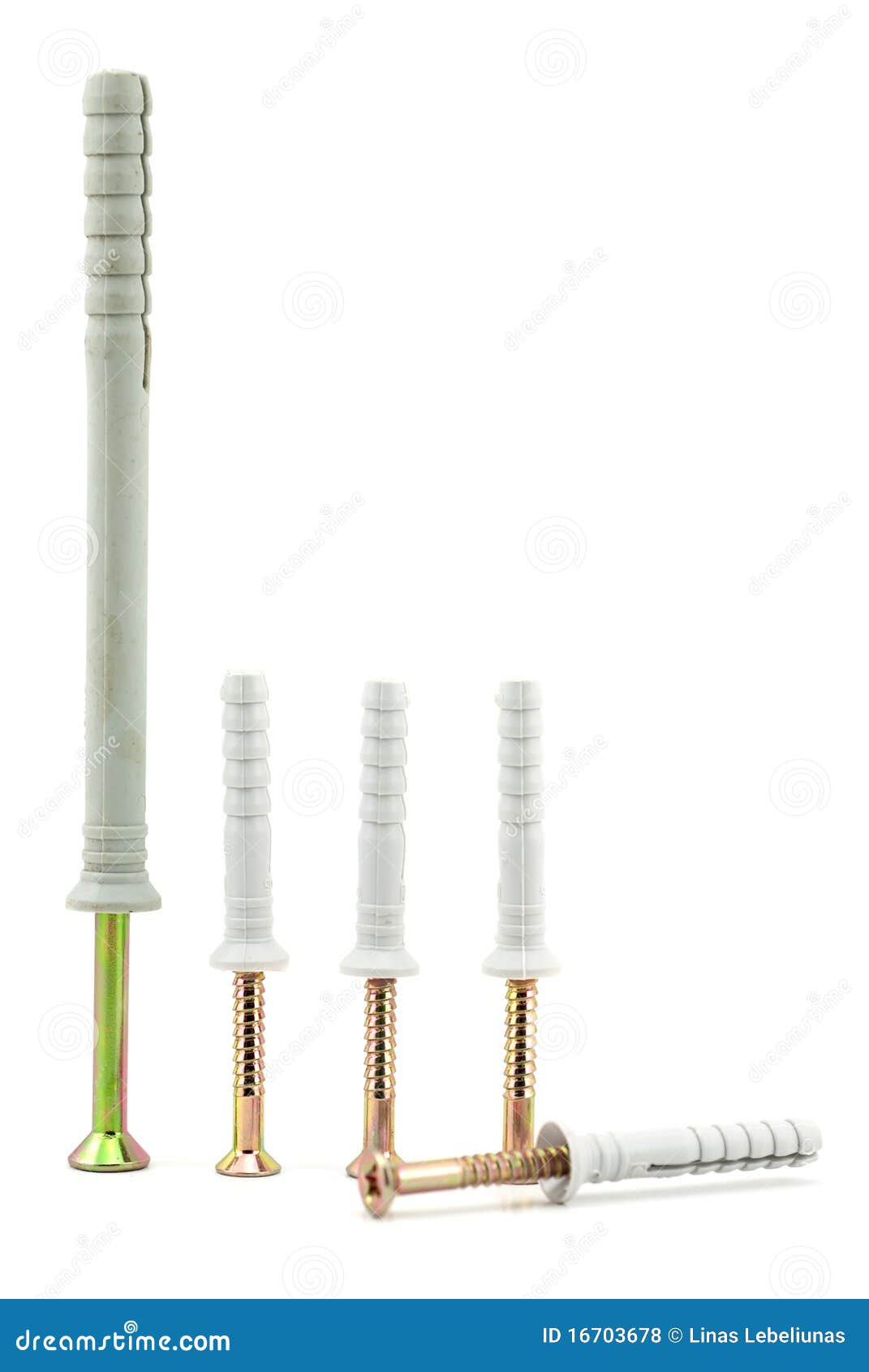 Group of screws stock photo. Image of white, group, close - 16703678