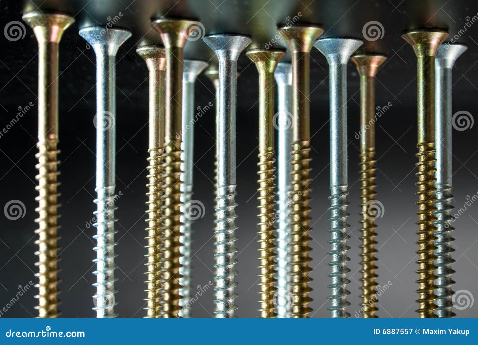 Group of screws stock image. Image of silver, iron, steel - 6887557