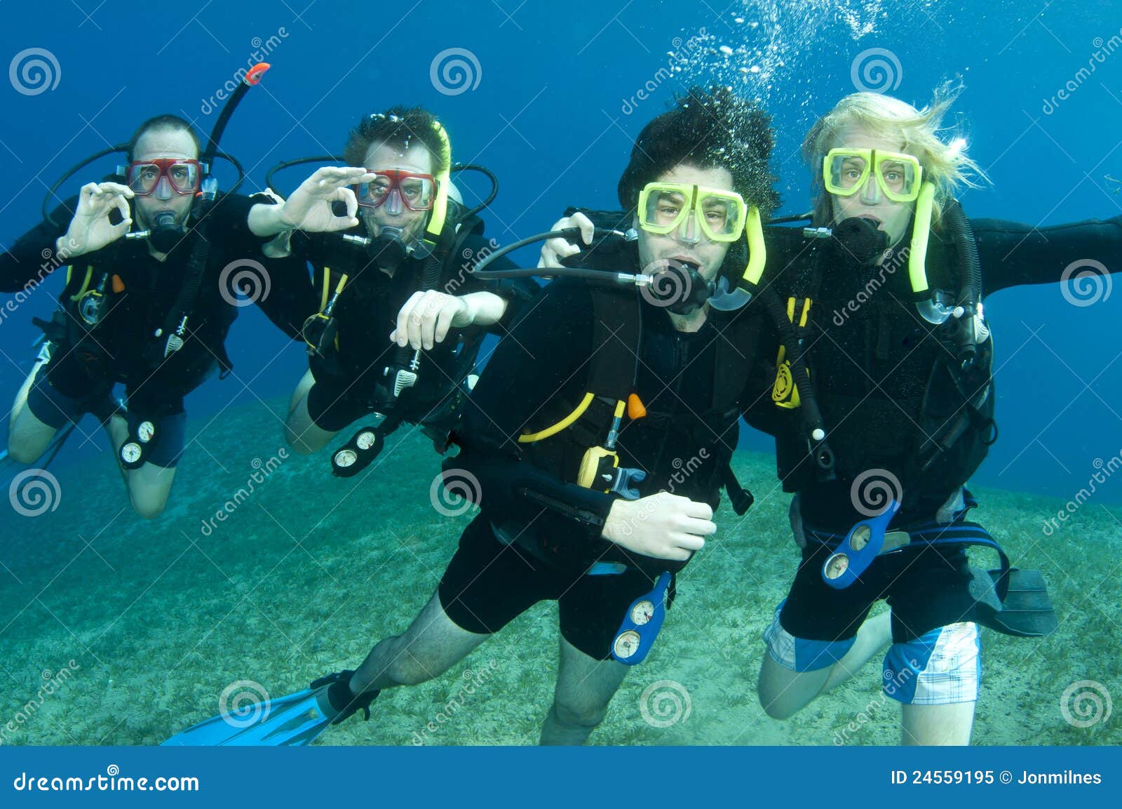 Group of scuba divers stock image. Image of underwater - 24559195