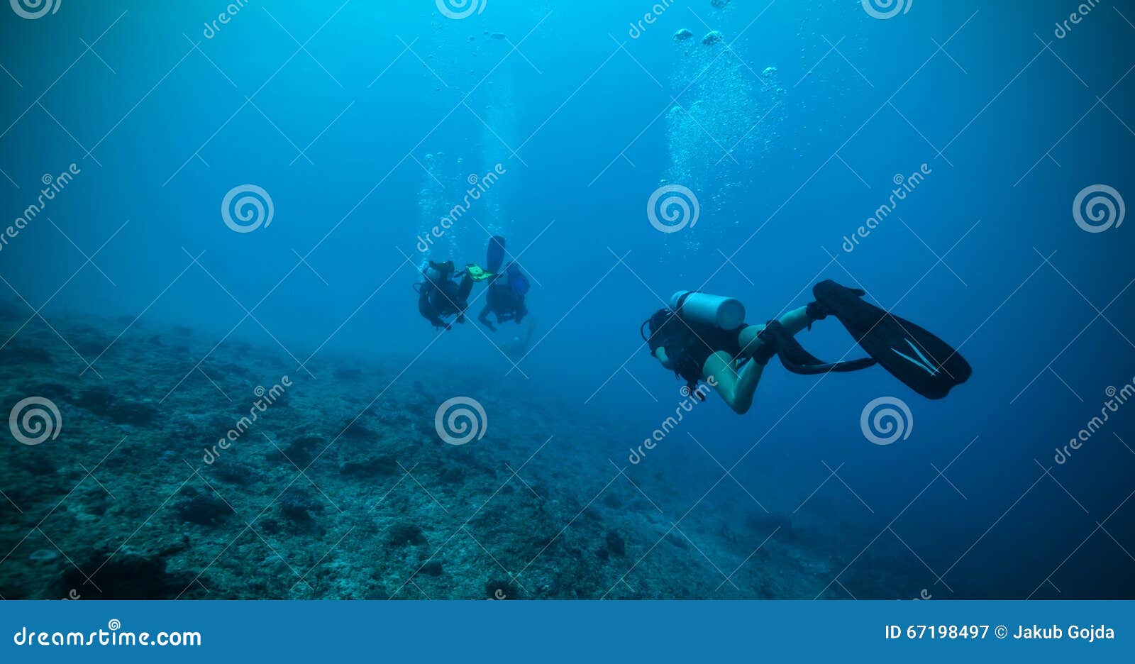 Group of Scuba Divers Underwater Stock Image - Image of dive, tank ...