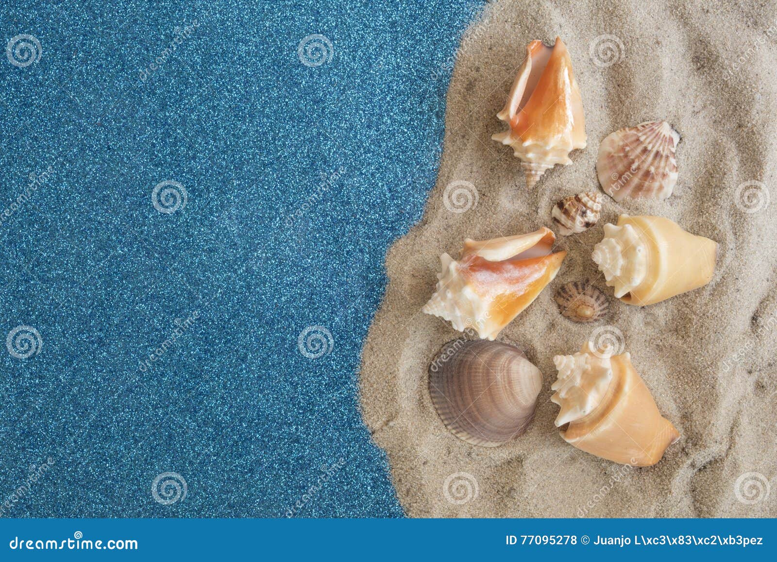 Group of Sea Conchs and Shells Placed on Beach Sand and Shiny Br Stock ...