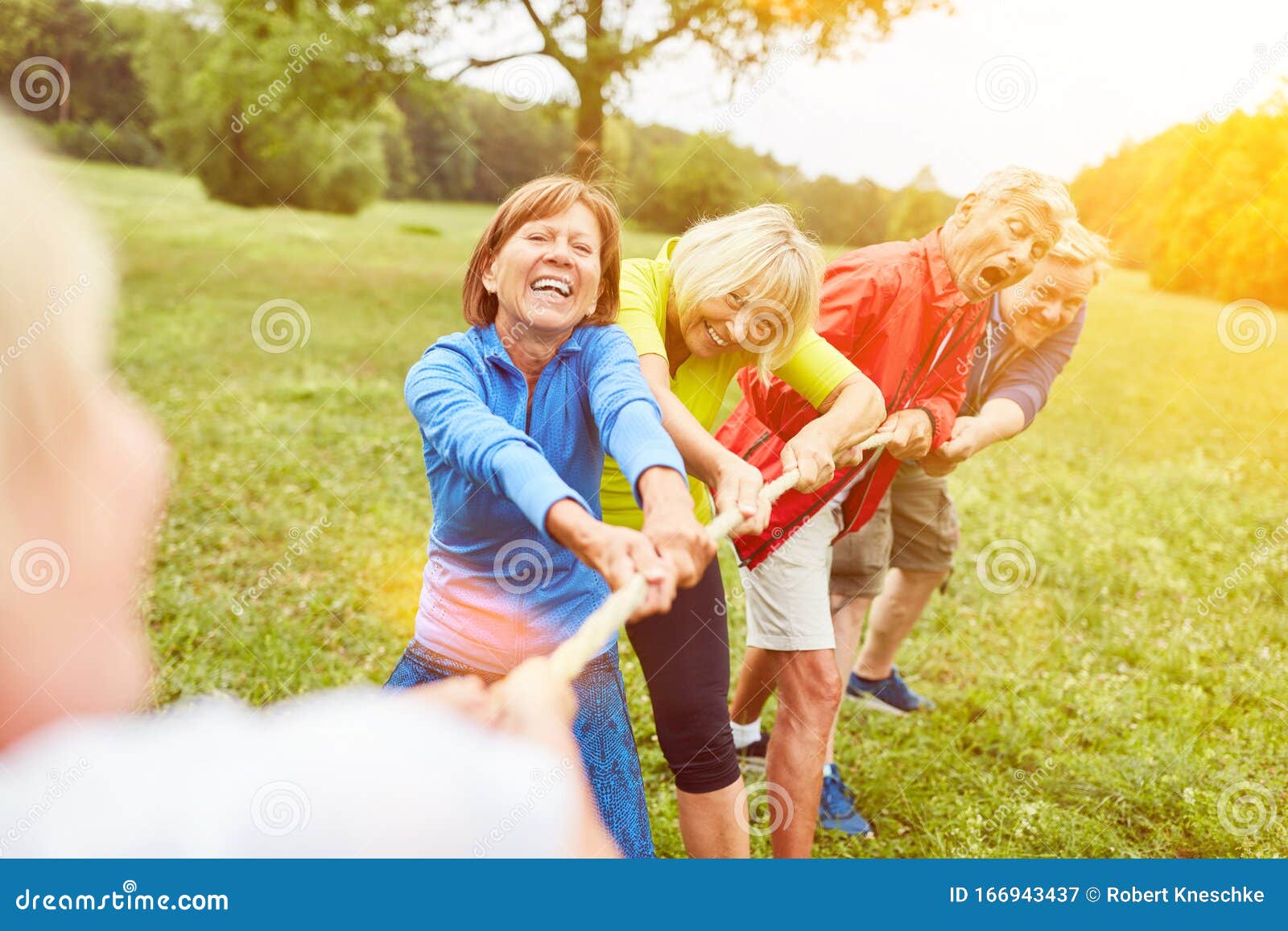 Group of Seniors Pulling Tug-of-war or Rope Stock Image - Image of ...