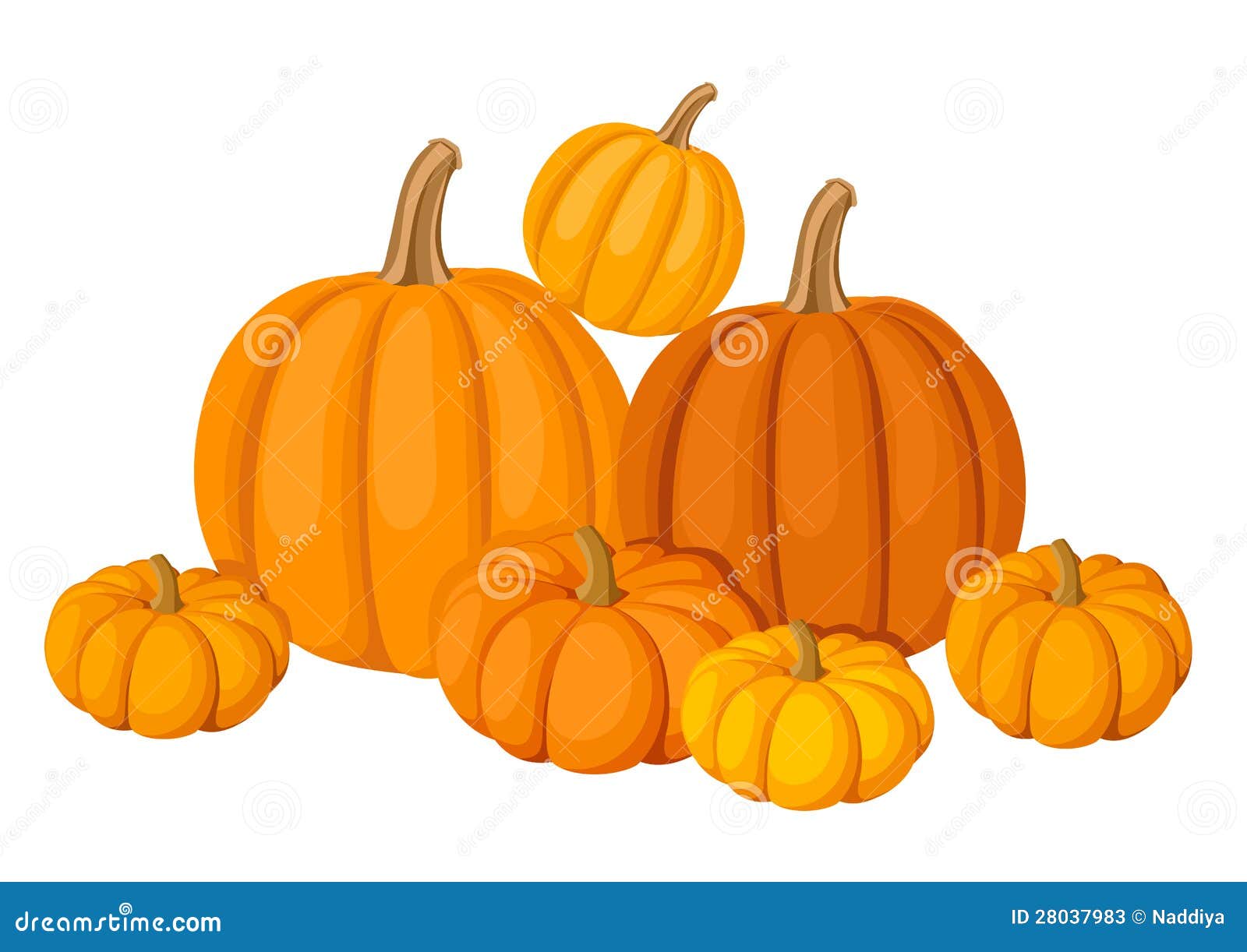 Group of Seven Orange Pumpkins. Stock Vector - Illustration of ...