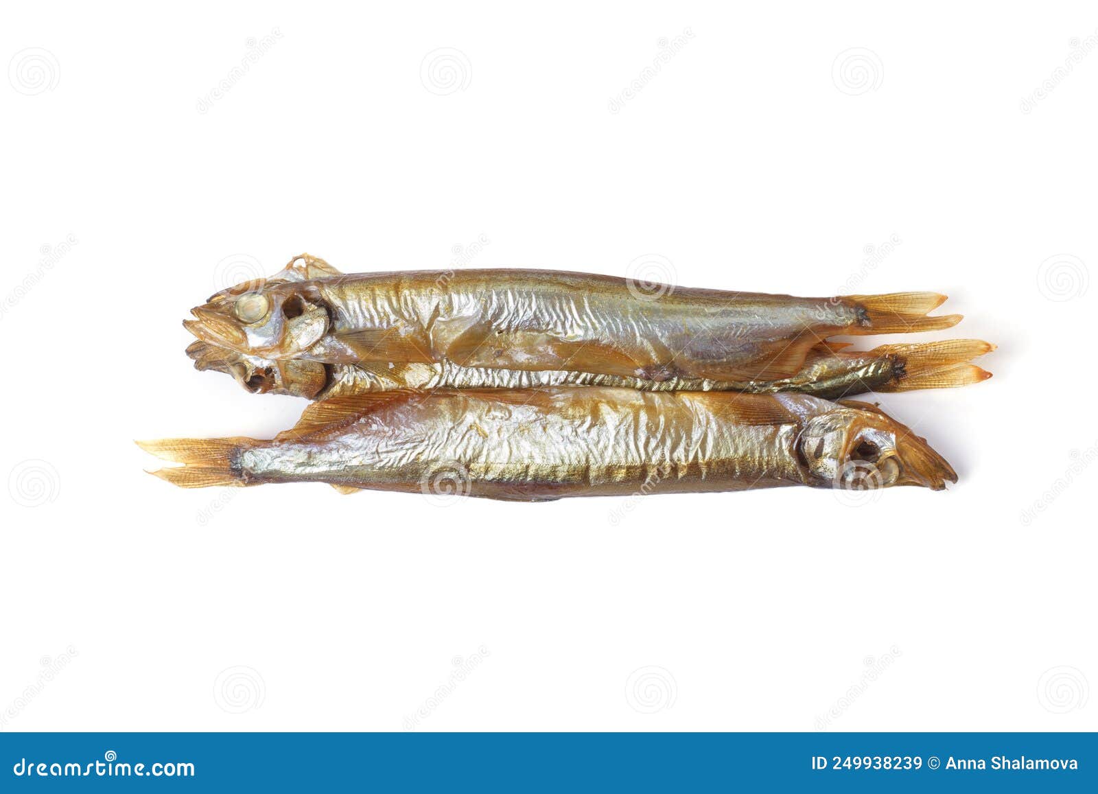 Group of Several Smoked Capelin Fish Isolated on White Background. Top ...
