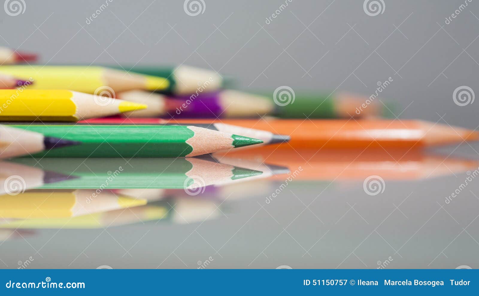 Group of Sharp Colored Pencils with Details and Reflexions Stock Image ...
