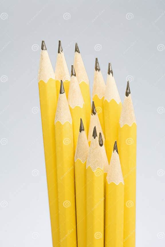 Group of sharp pencils. stock image. Image of copy, pencils - 2425735 Group of sharp pencils. stock image. Image of copy, pencils - 2425735