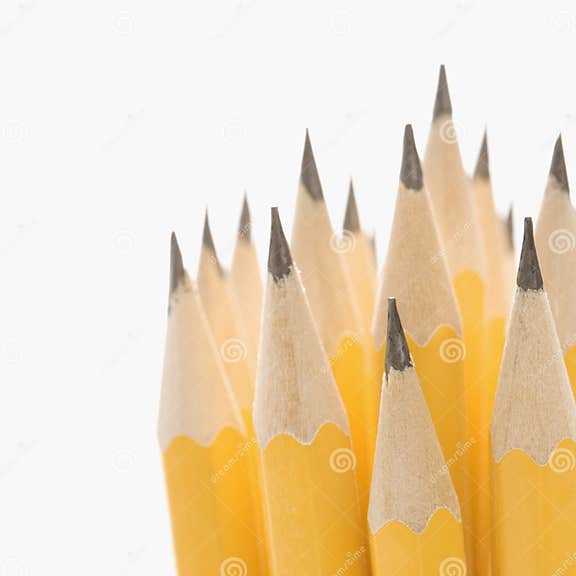 Group of sharp pencils. stock photo. Image of education - 2431652 Group of sharp pencils. stock photo. Image of education - 2431652