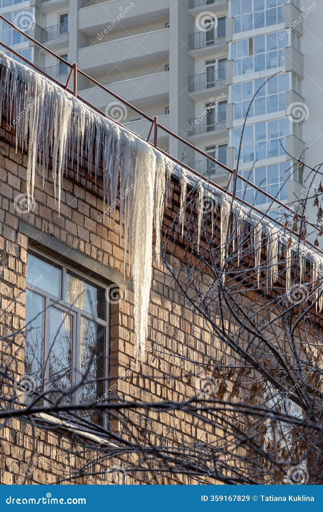 A Group of Sharp White Transparent Icicles is Hanging Down from the ...