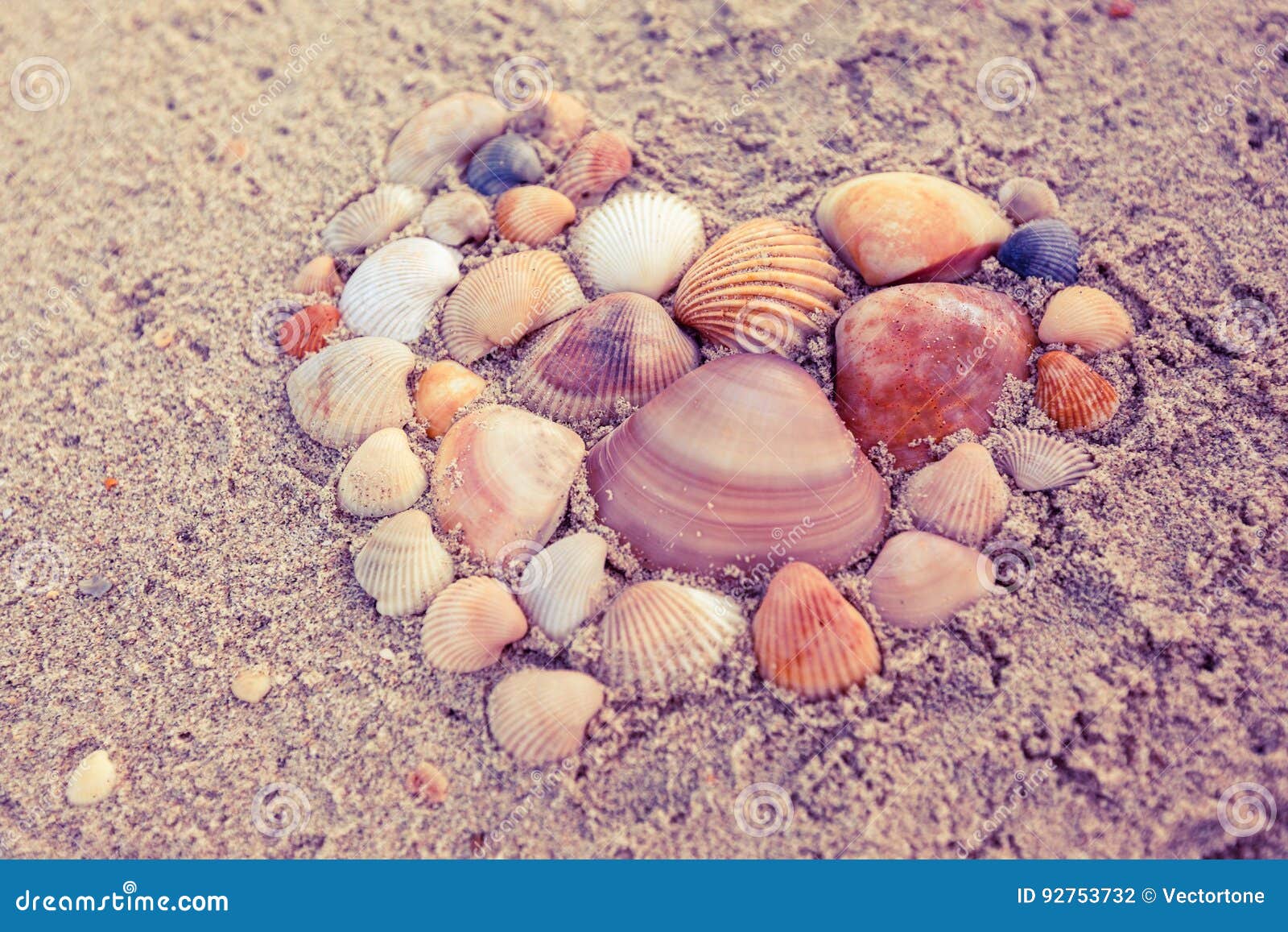 Group of Shell on Sand in Heart Shape. Stock Photo - Image of happy ...