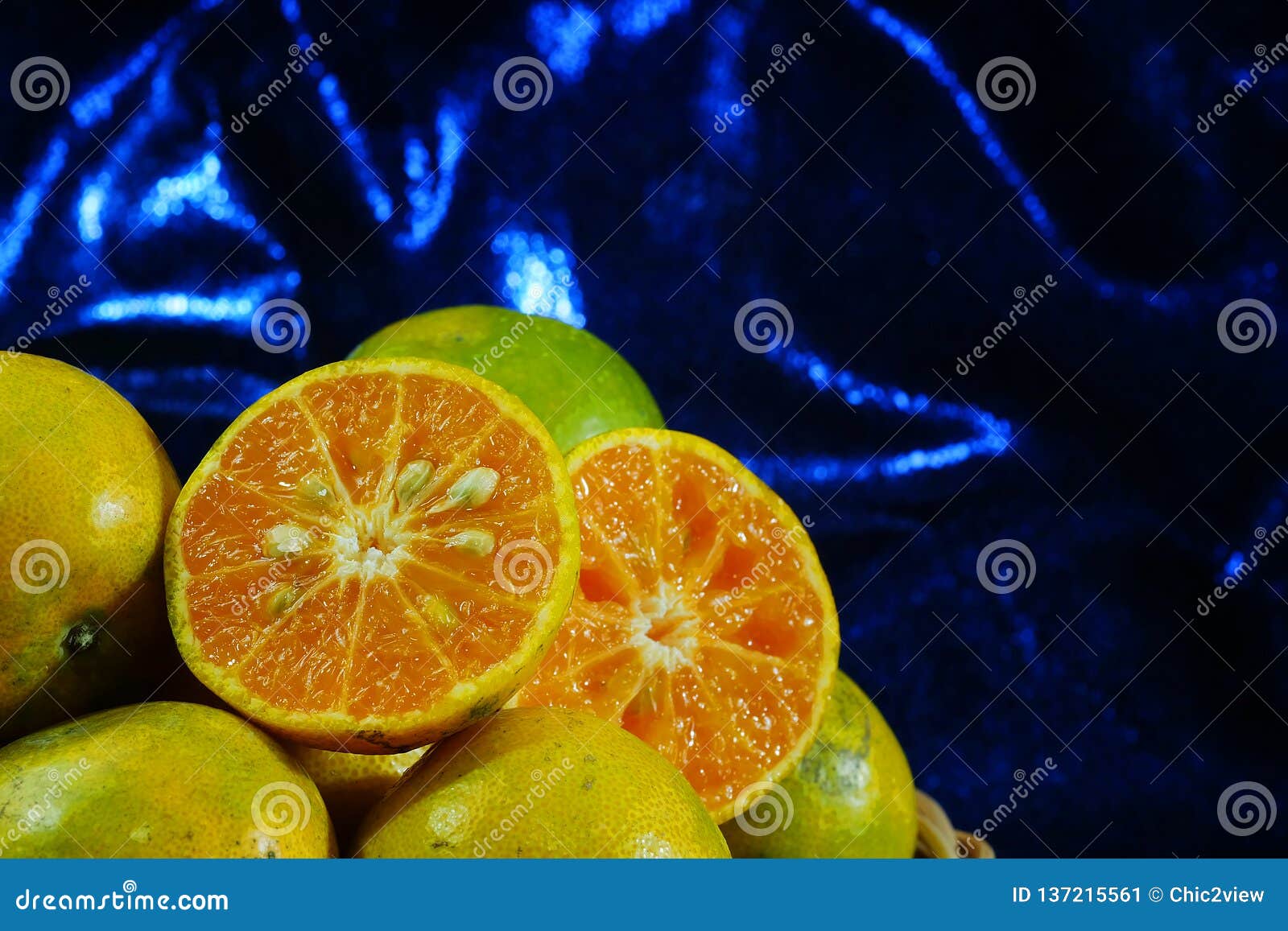 Group of Shogun Orange with Glitter Blue Background. Stock Image ...