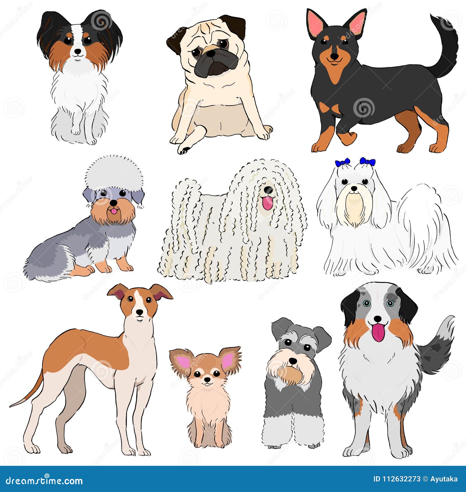 Papillon Full Body Facing Forward Clear White Background,generated With ...