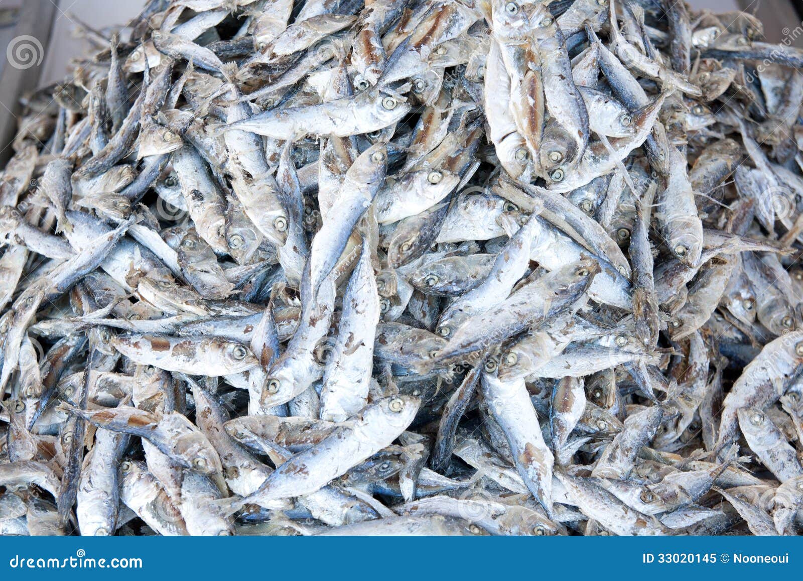 Group of small fish stock image. Image of season, group - 33020145