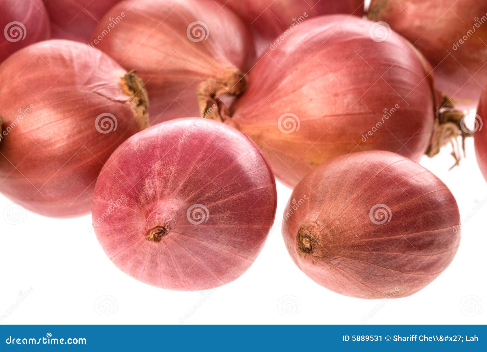 Small Onions Of Four Varieties Of Different Shapes And Colors Royalty ...