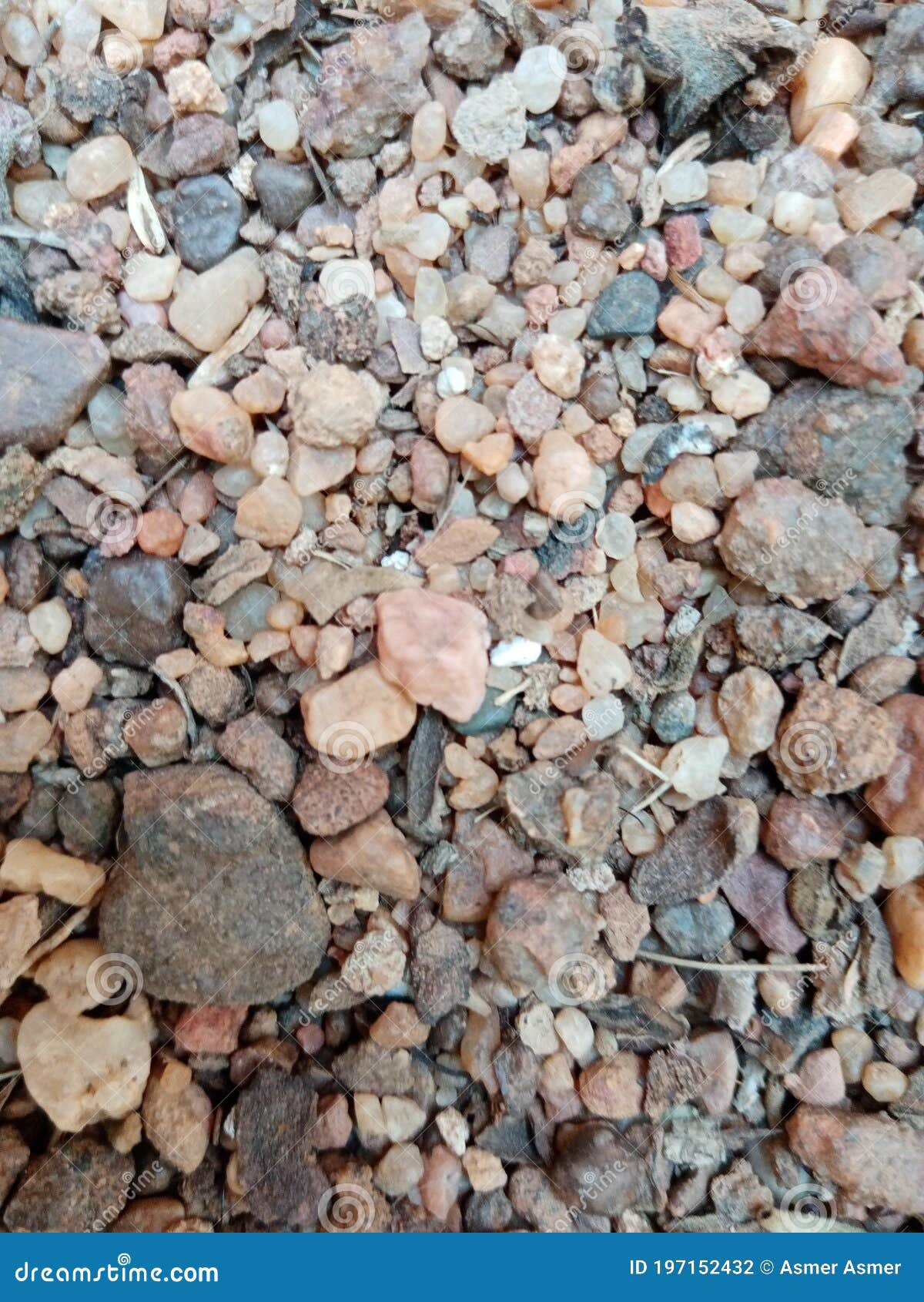 A group of small stones stock photo. Image of texture - 197152432