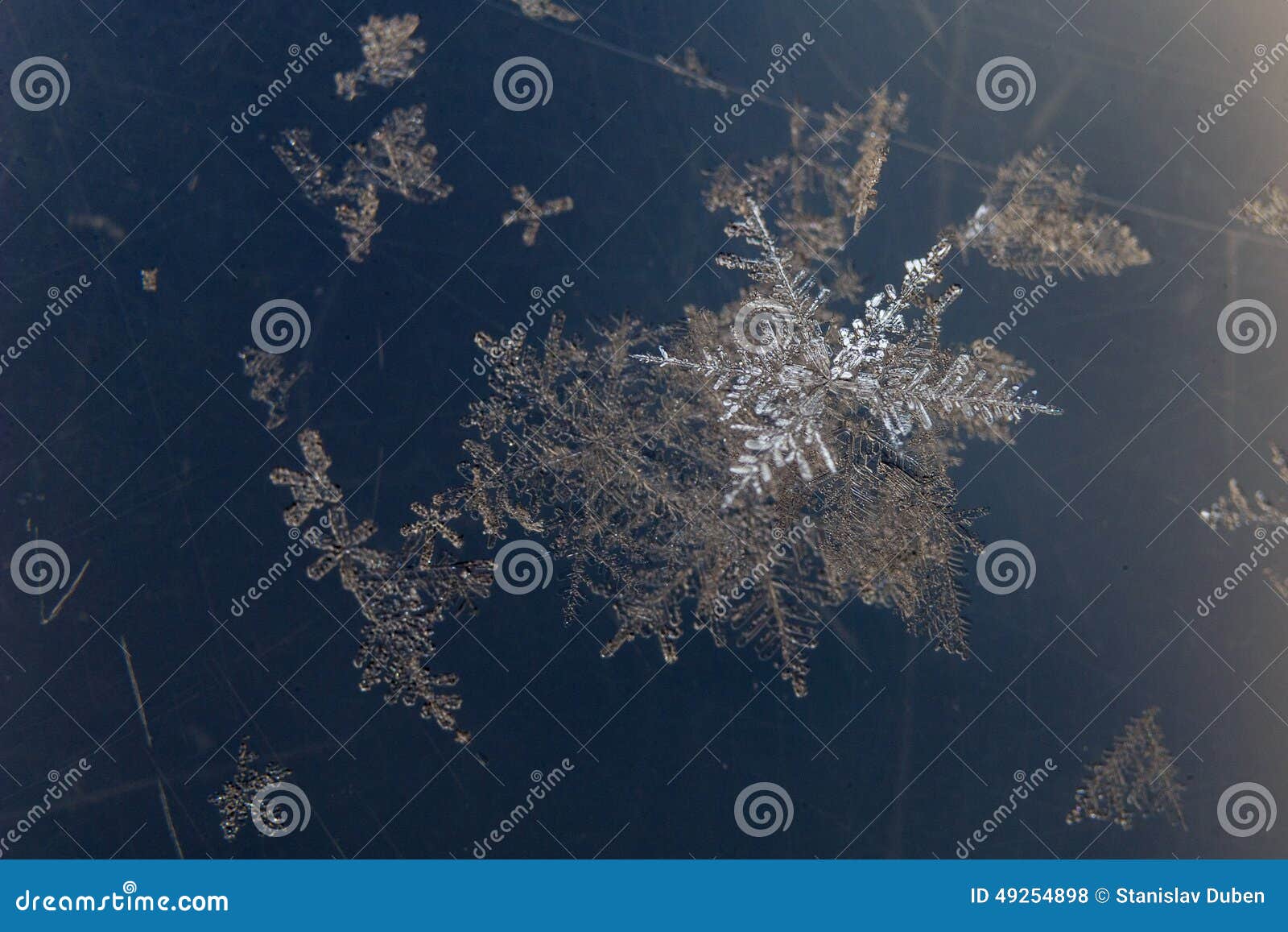 Group of snowflakes detail stock photo. Image of pattern - 49254898