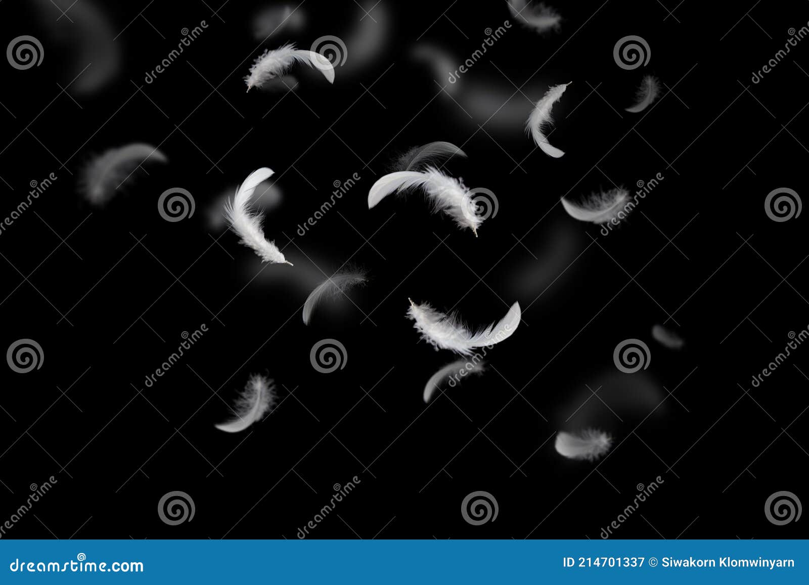 Group of Soft and Light White Feathers Falling Down in the Dark. Black ...