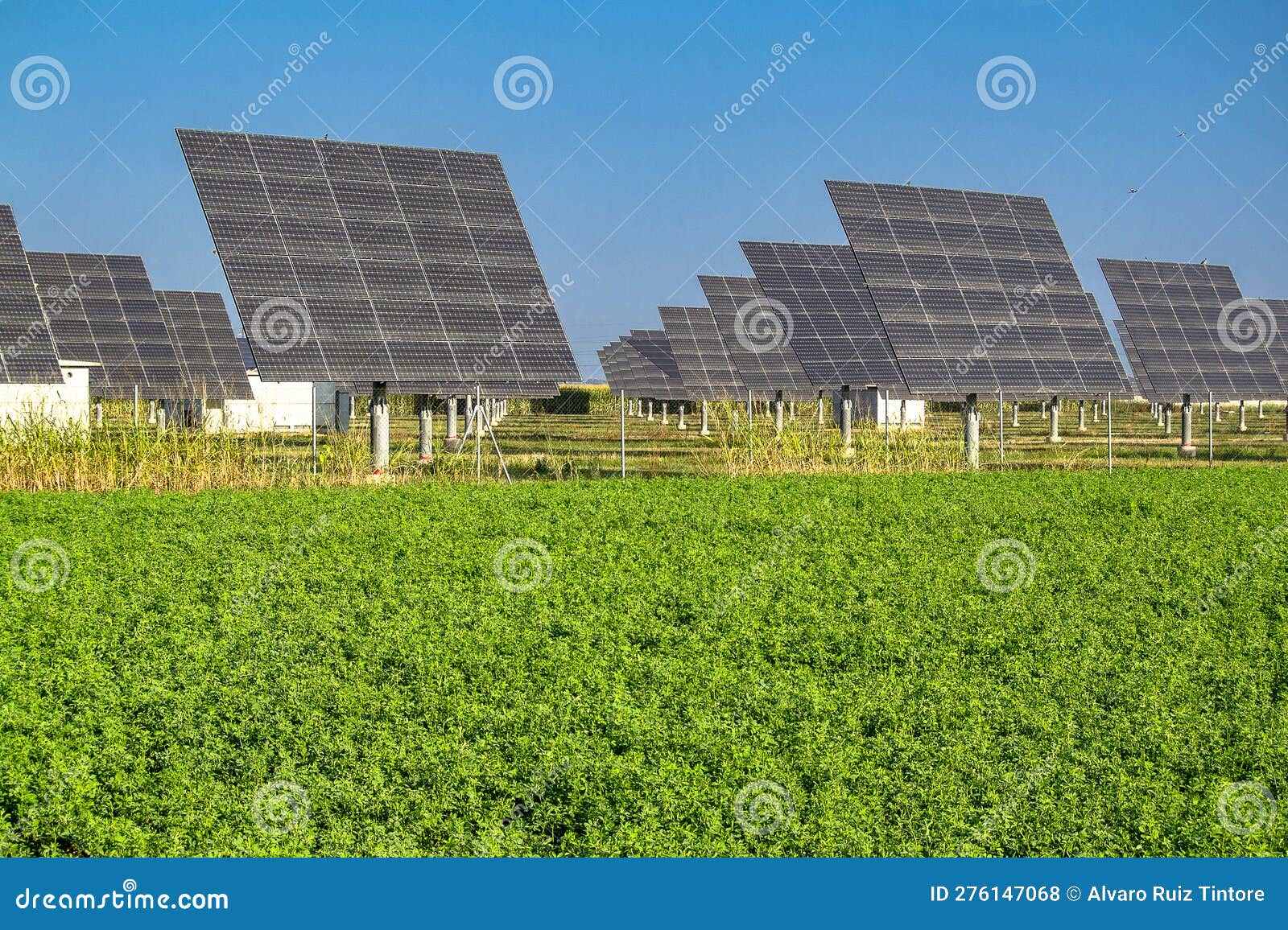 Group of Solar Panels in a Field_06 Stock Photo - Image of modern ...