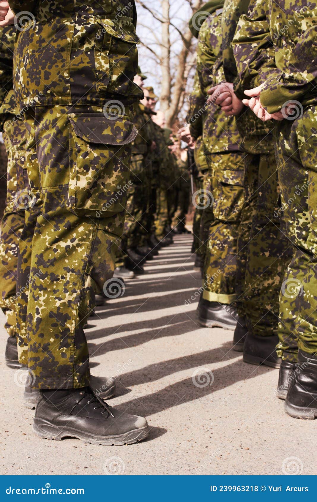 Time for Inspection. a Group of Soldiers Standing at Attention. Stock ...