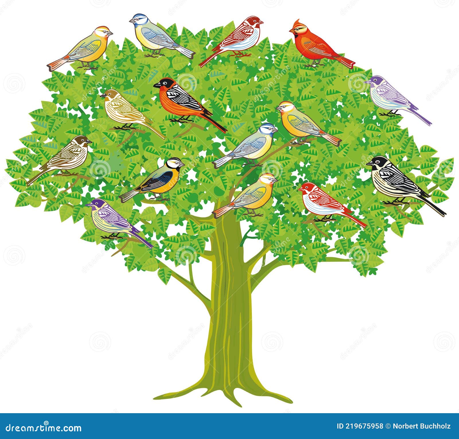 A Group of Songbirds on a Tree Stock Vector - Illustration of color ...