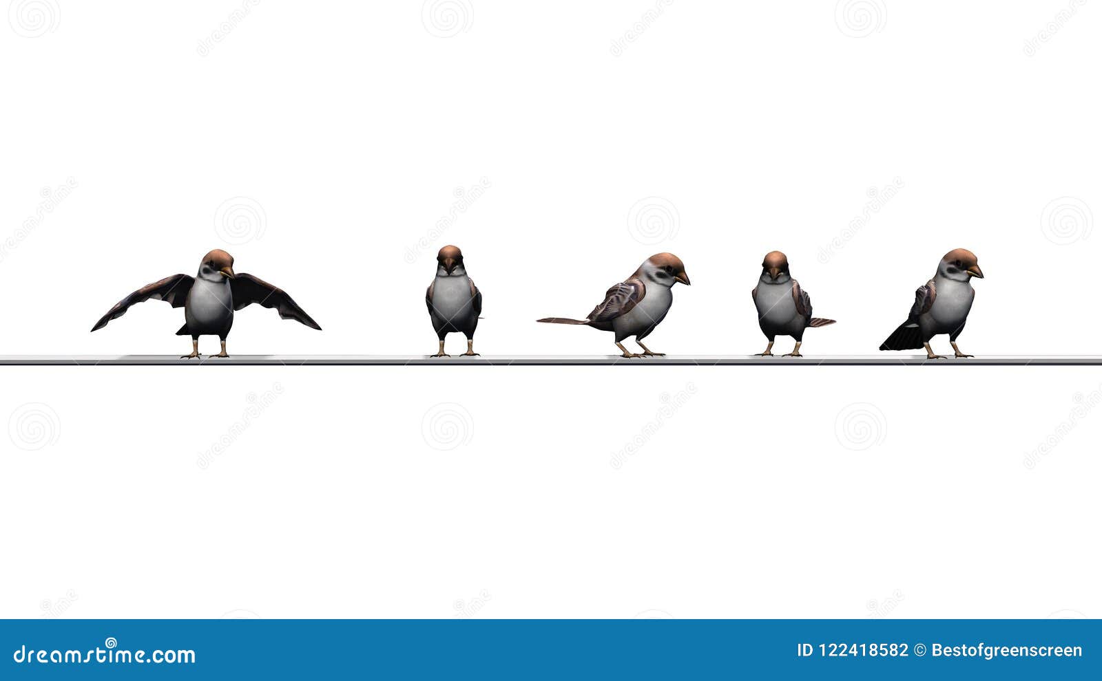 A group of sparrows stock illustration. Illustration of cute - 122418582