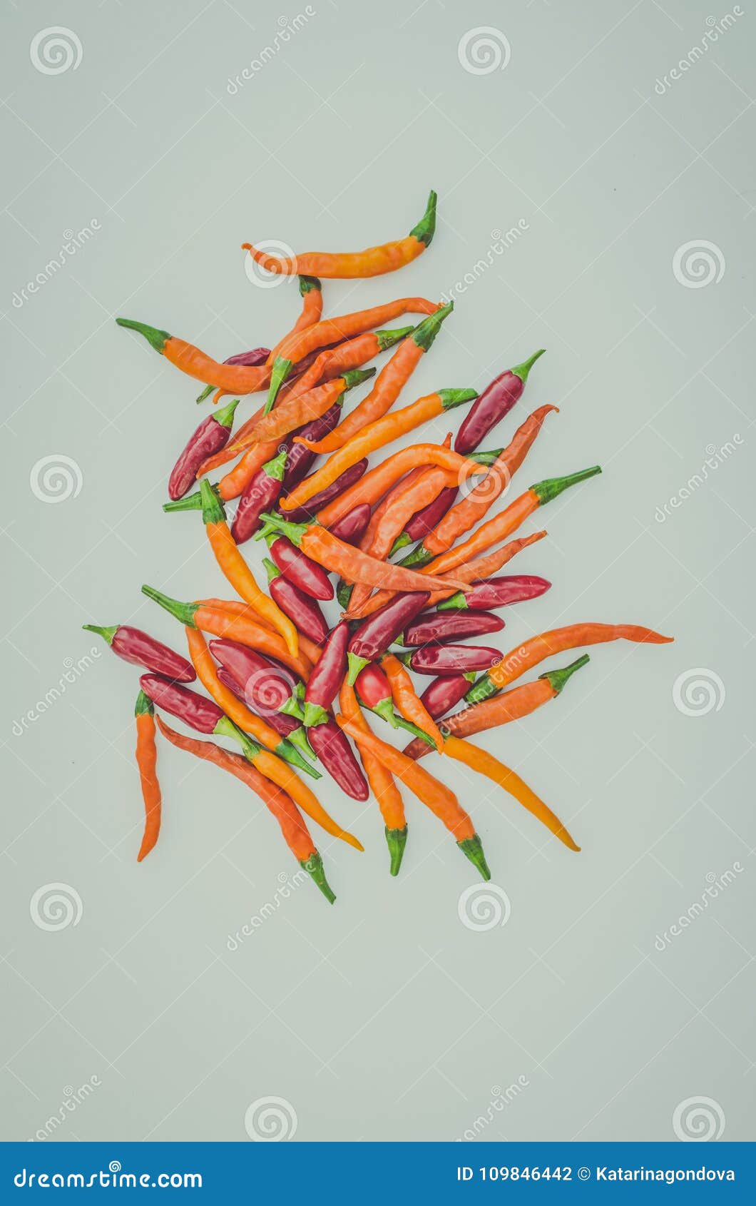 Colorful chilli stock photo. Image of dried, fresh, ingredient - 109846442