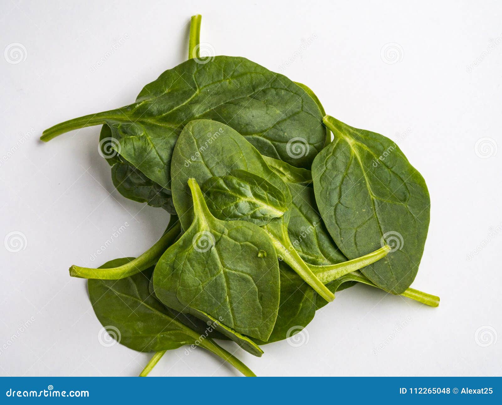 Spinach isolated stock photo. Image of plant, ingredient - 112265048